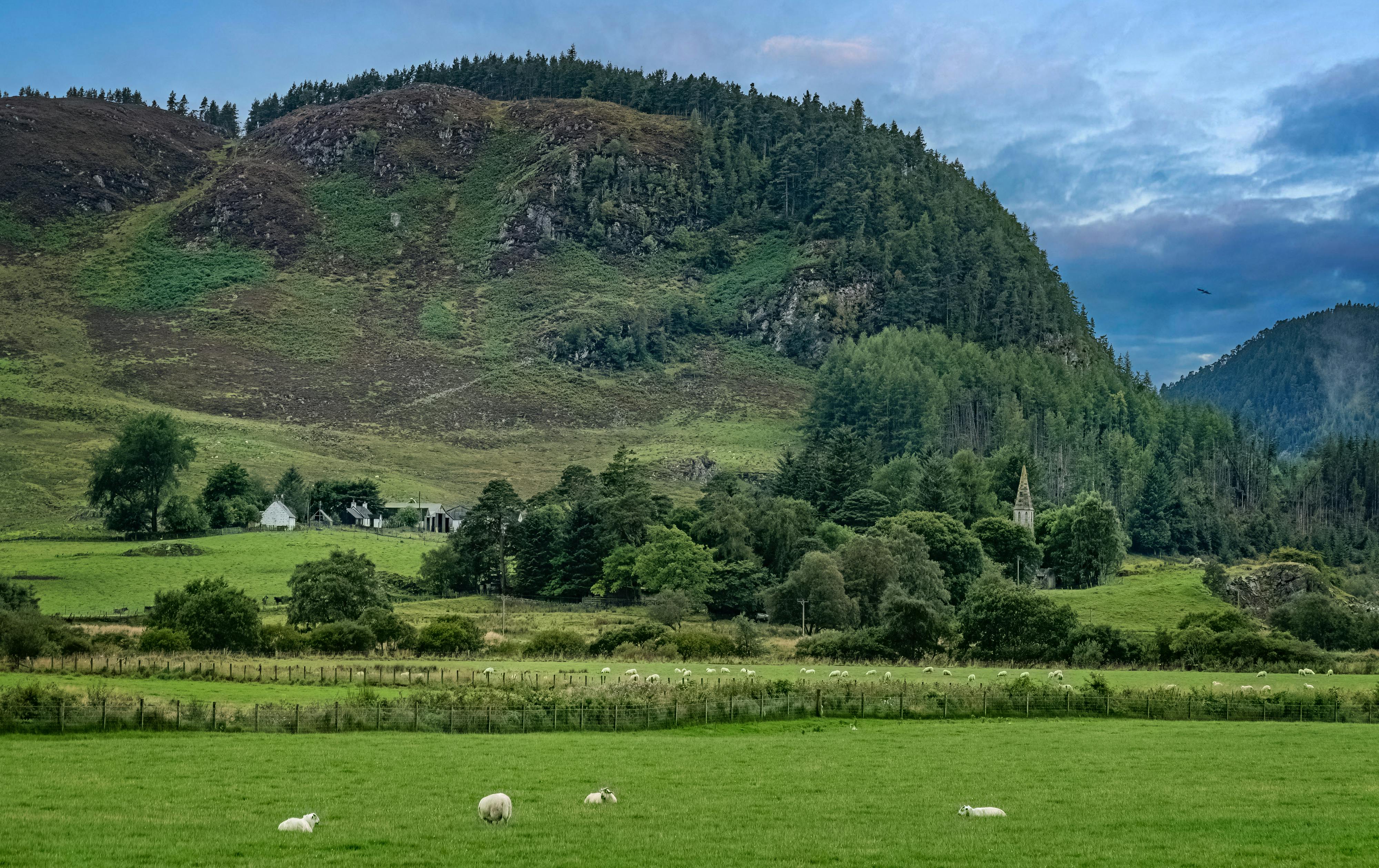 Green Countryside Landscape · Free Stock Photo