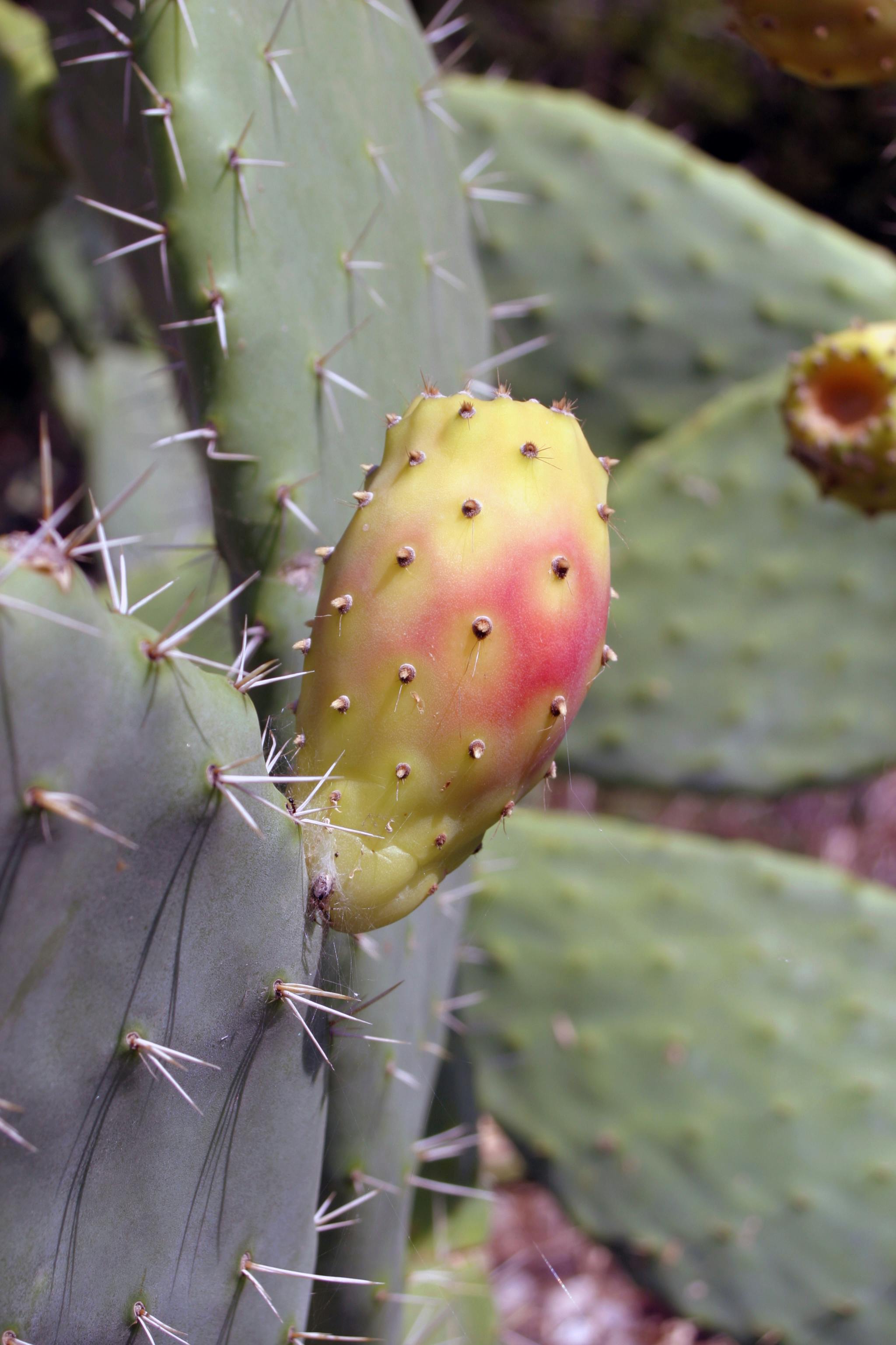 Karsten Sporenberg - Photography