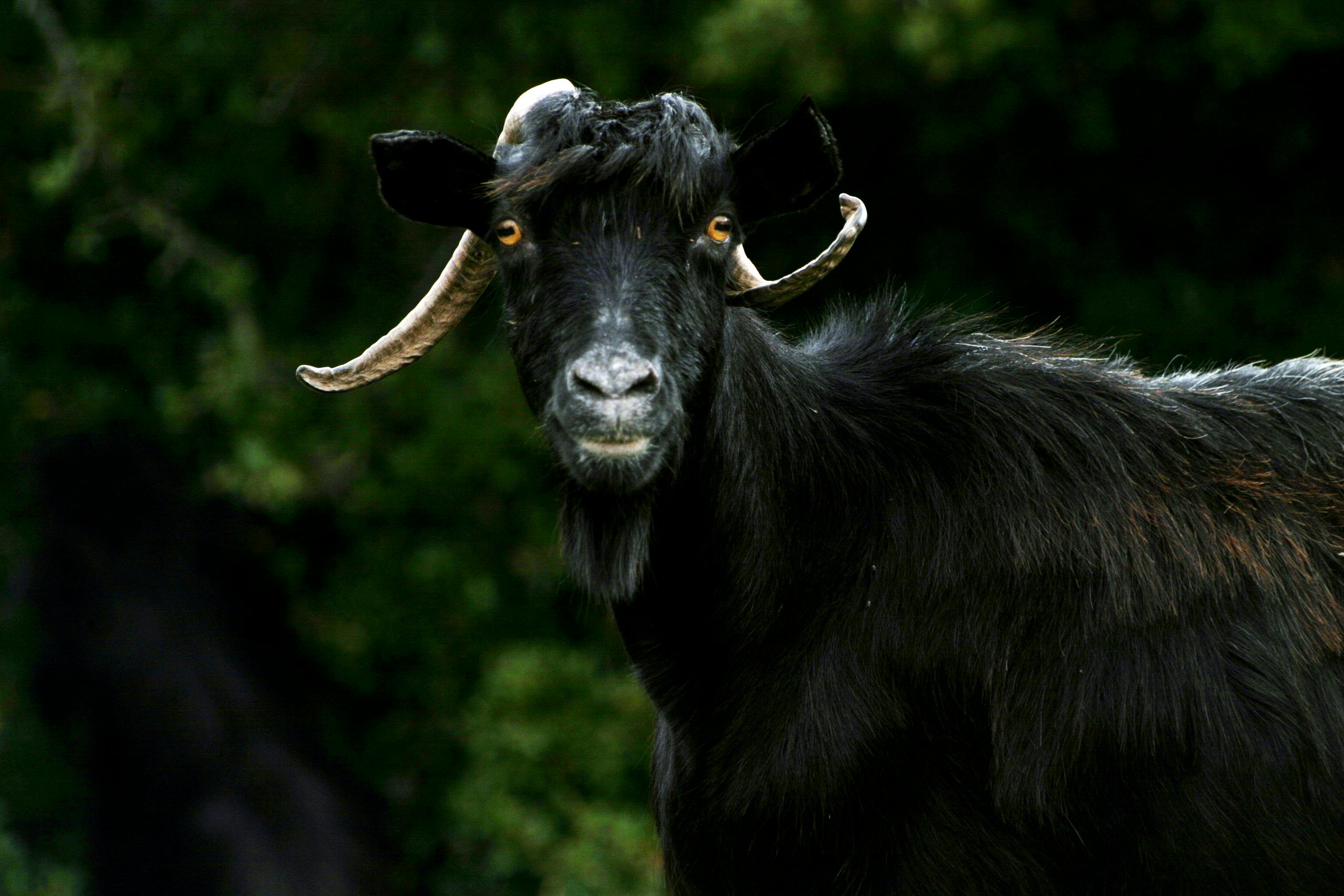 Karsten Sporenberg - Photography