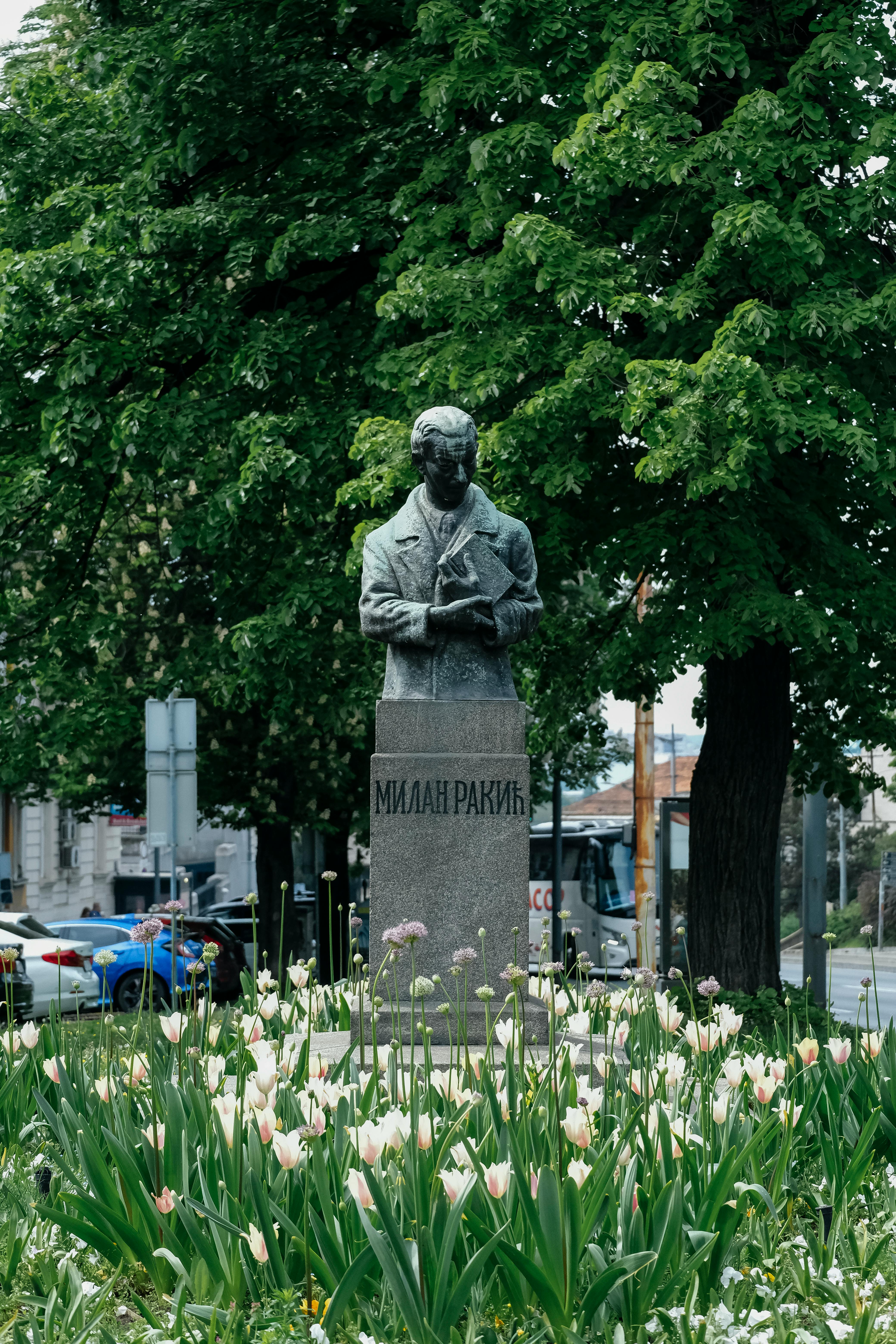 A statue of a man in a park with tulips · Free Stock Photo