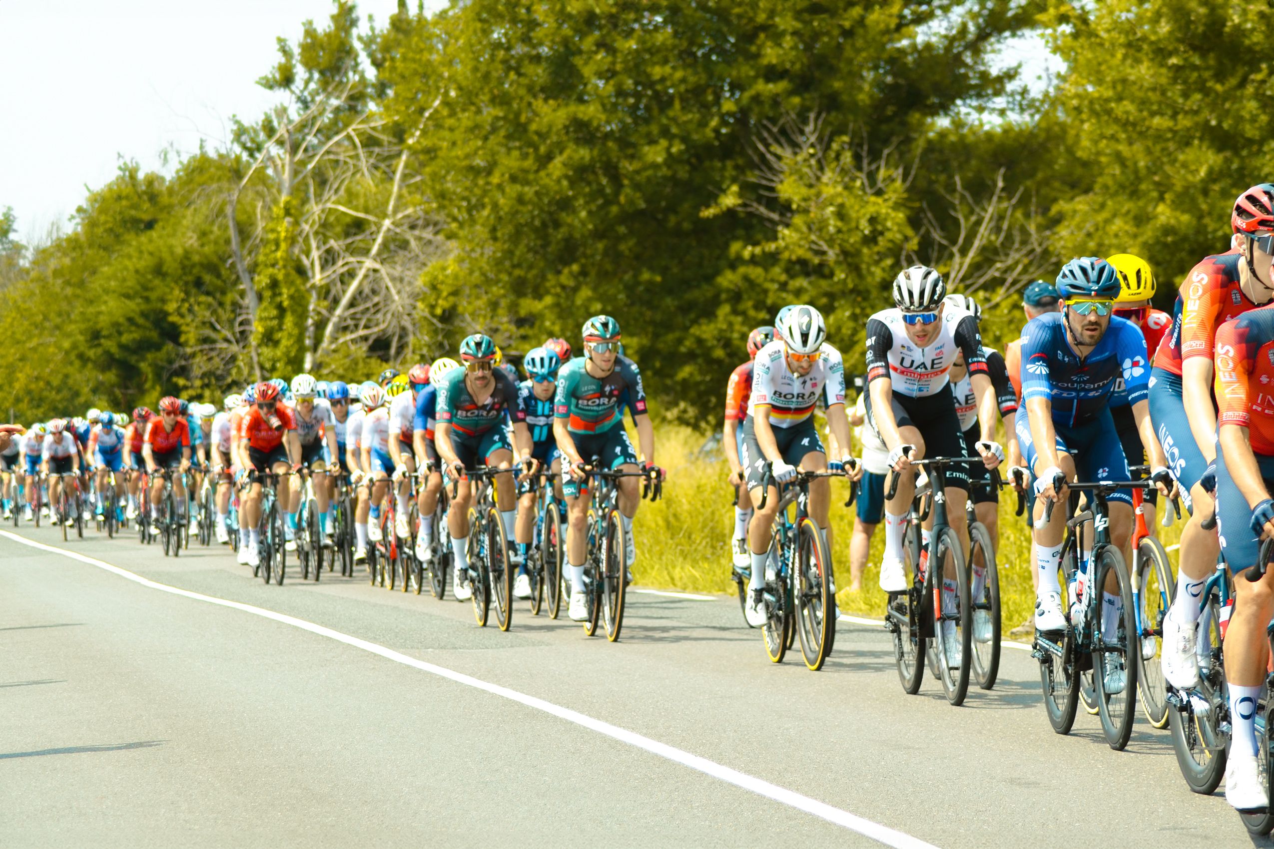 Peloton in Cyclist Race · Free Stock Photo