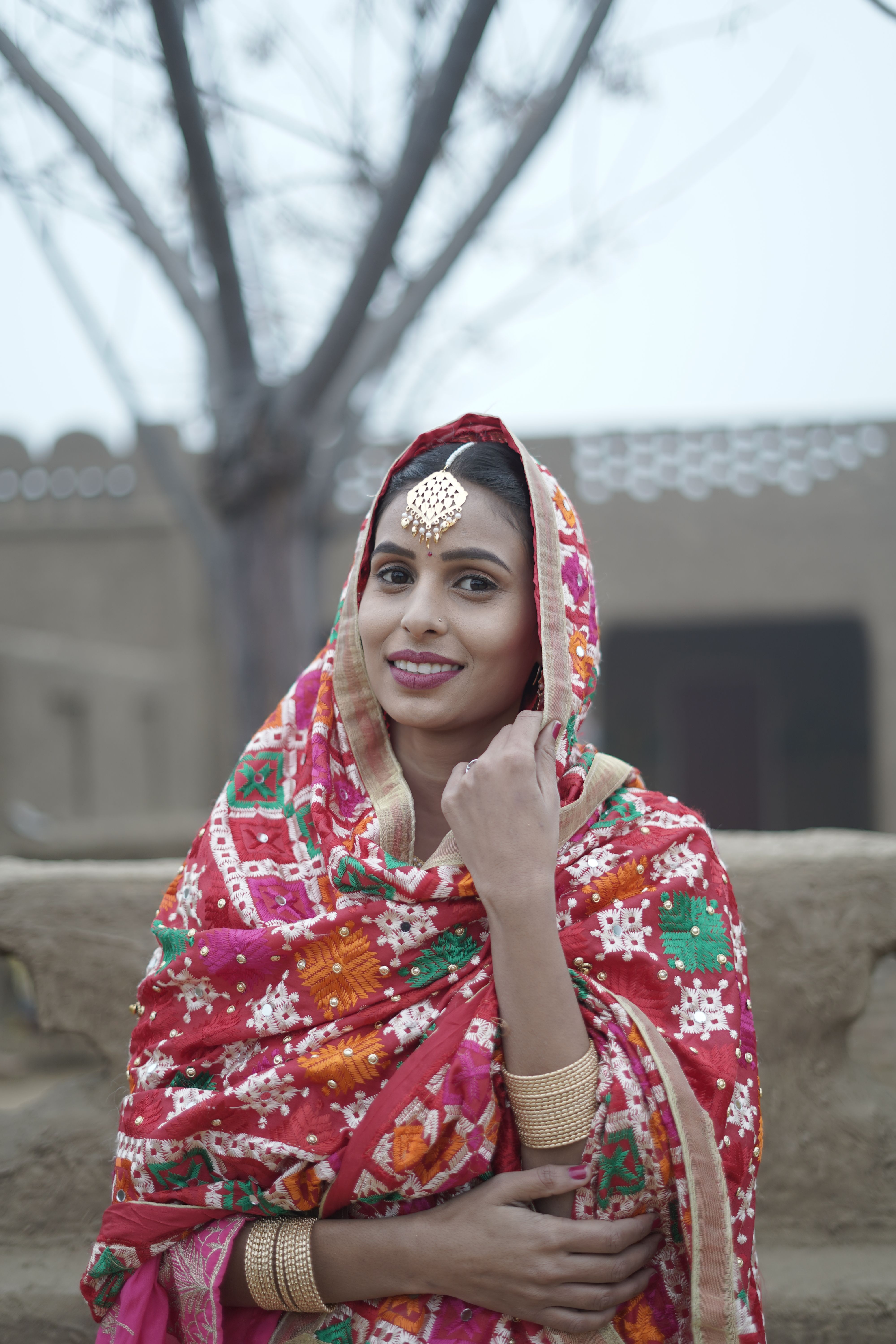 A Woman in Traditional Hindu Clothing · Free Stock Photo