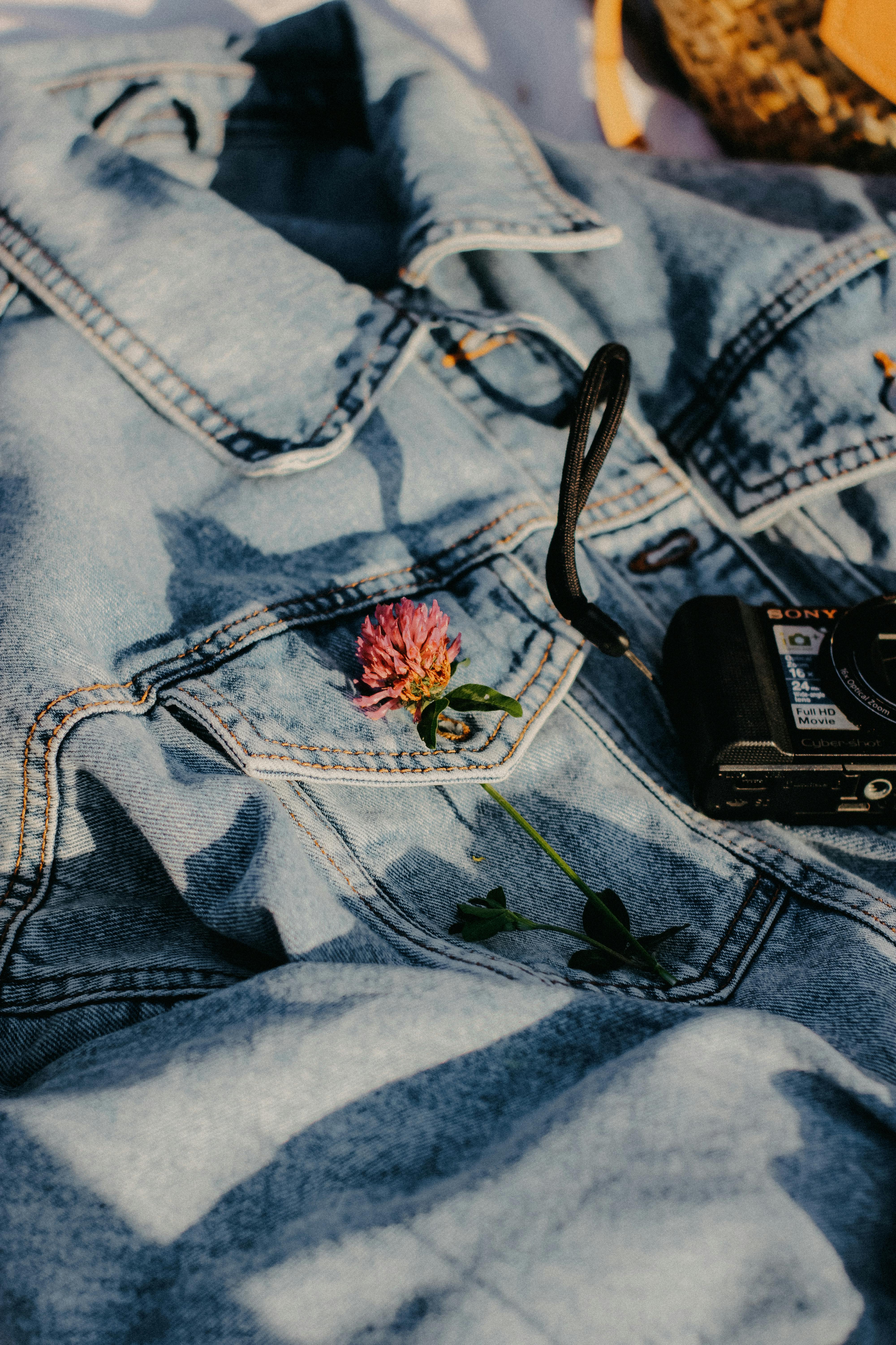 Flower in Jean Jacket Pocket · Free Stock Photo