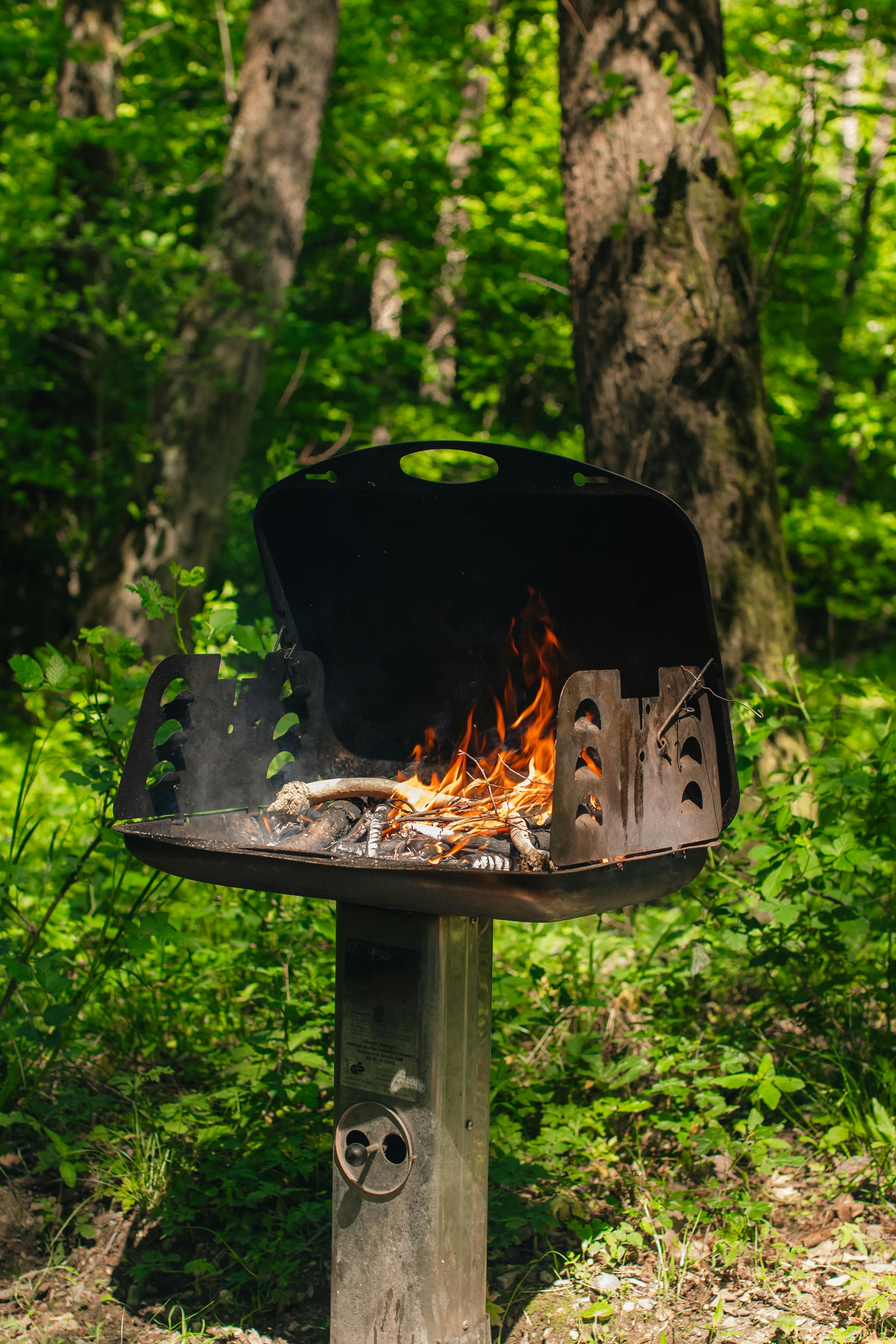 barbeque in nature street food · Free Stock Photo