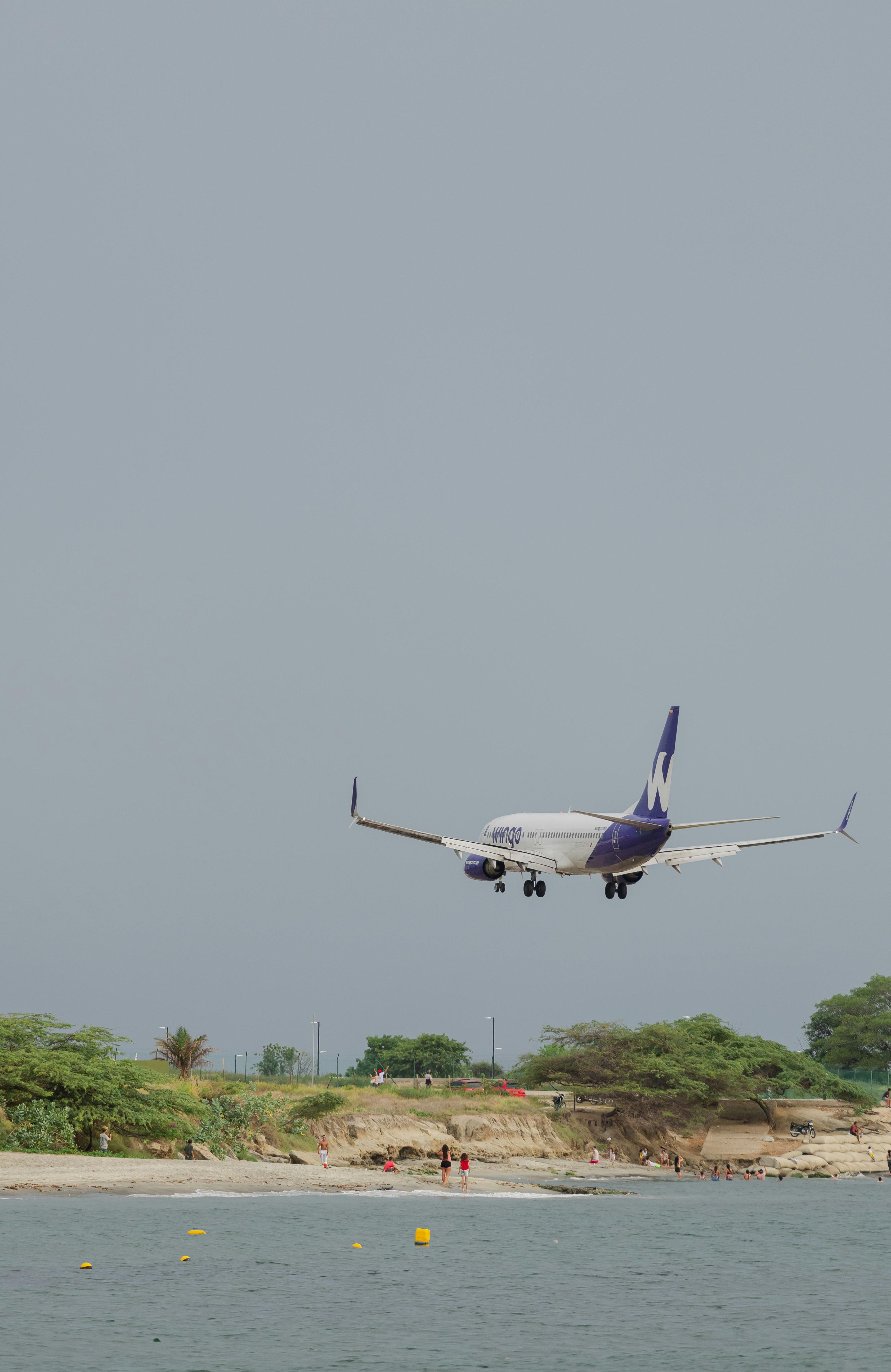 Airplane Flying Low over a Beach · Free Stock Photo