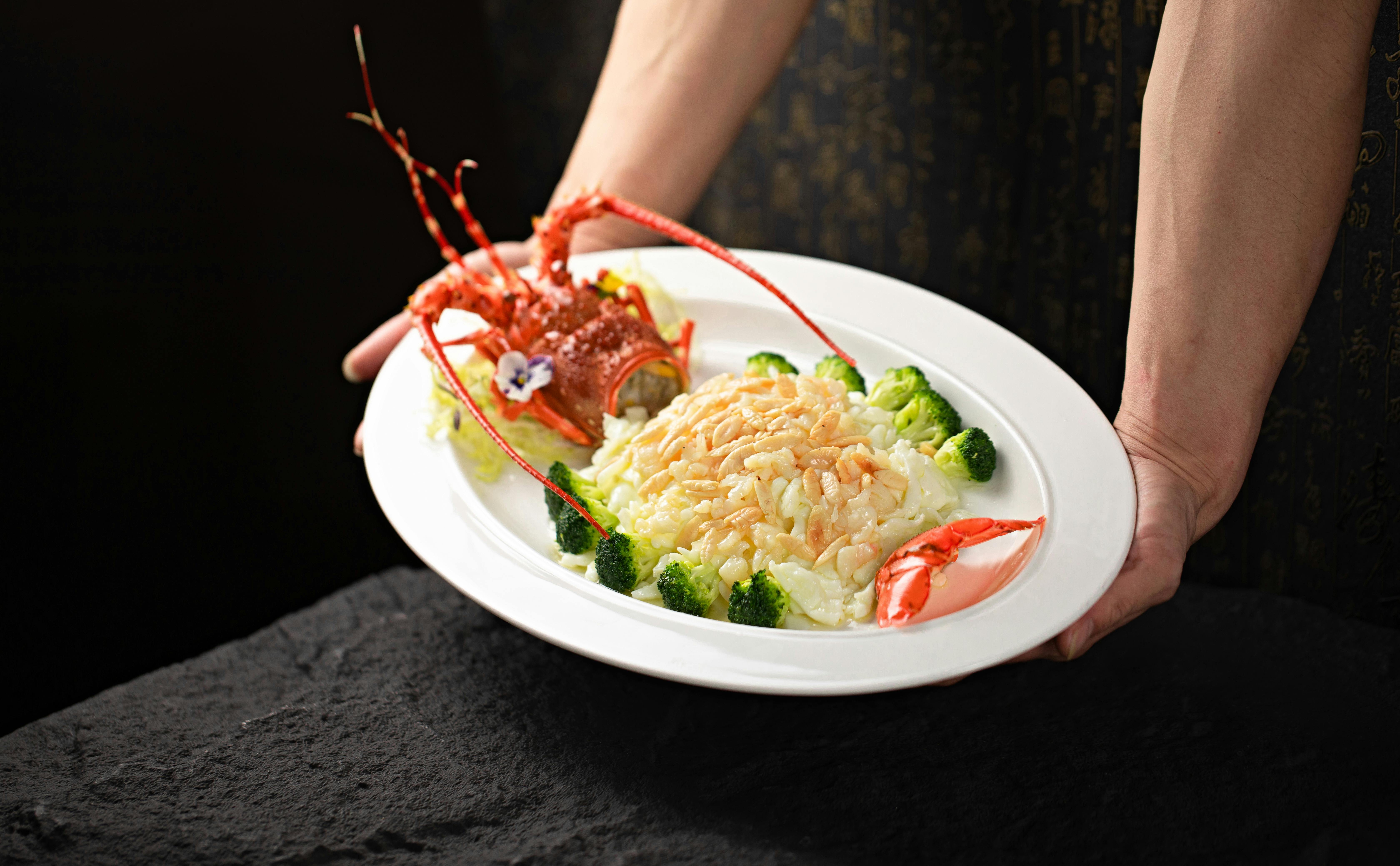 Fuel Plate Photos, Download The BEST Free Fuel Plate Stock Photos & HD ...