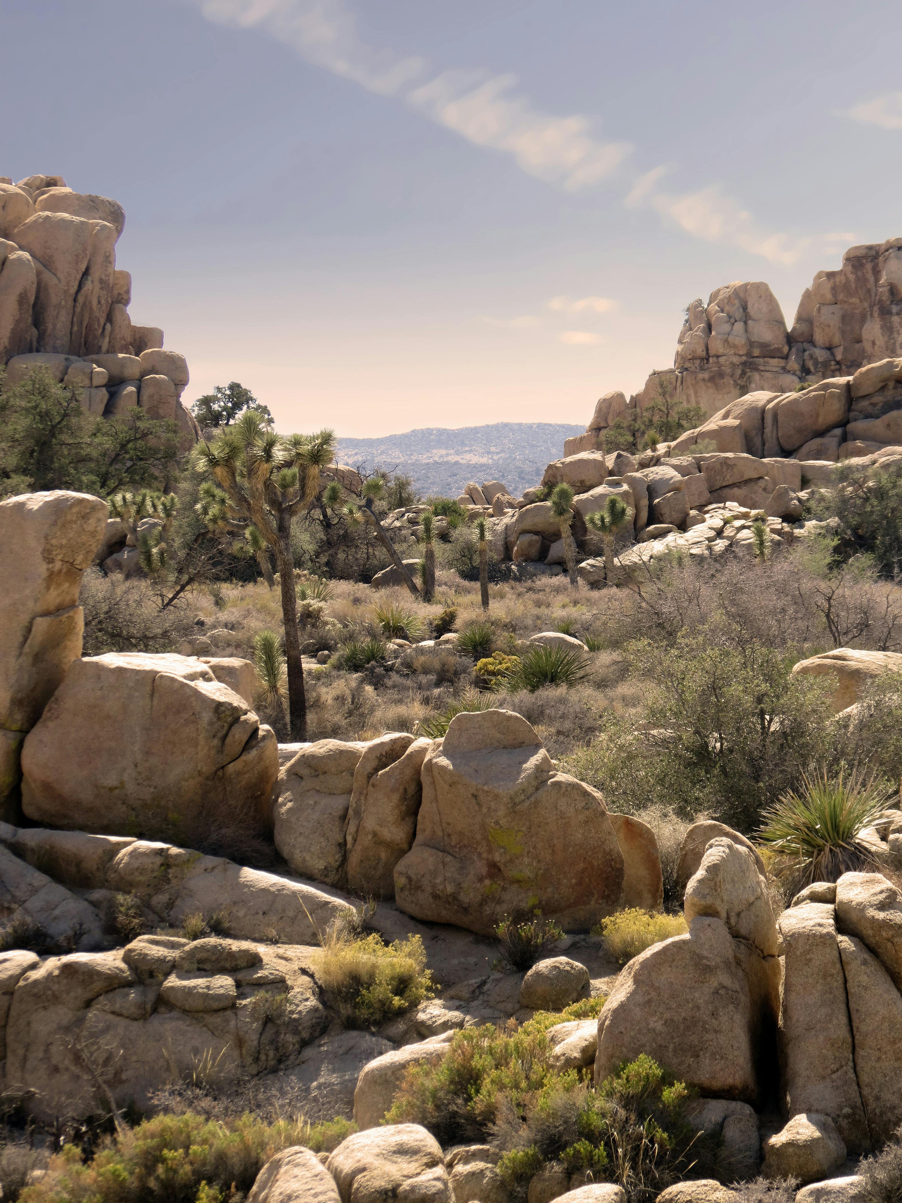 Foto de stock gratuita sobre @al aire libre, aislado, al aire libre ...