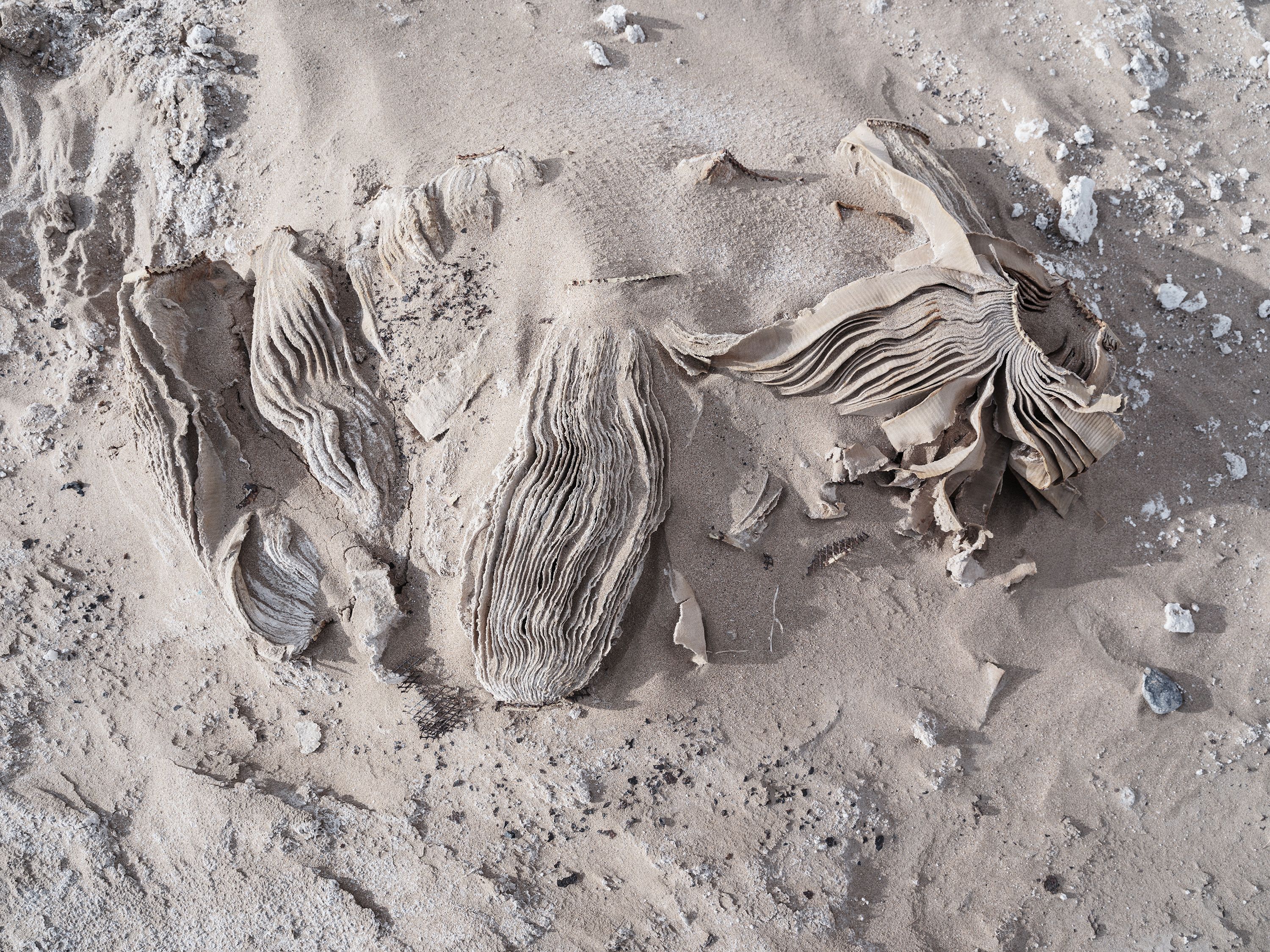 Remains of Books Buried in Sand · Free Stock Photo