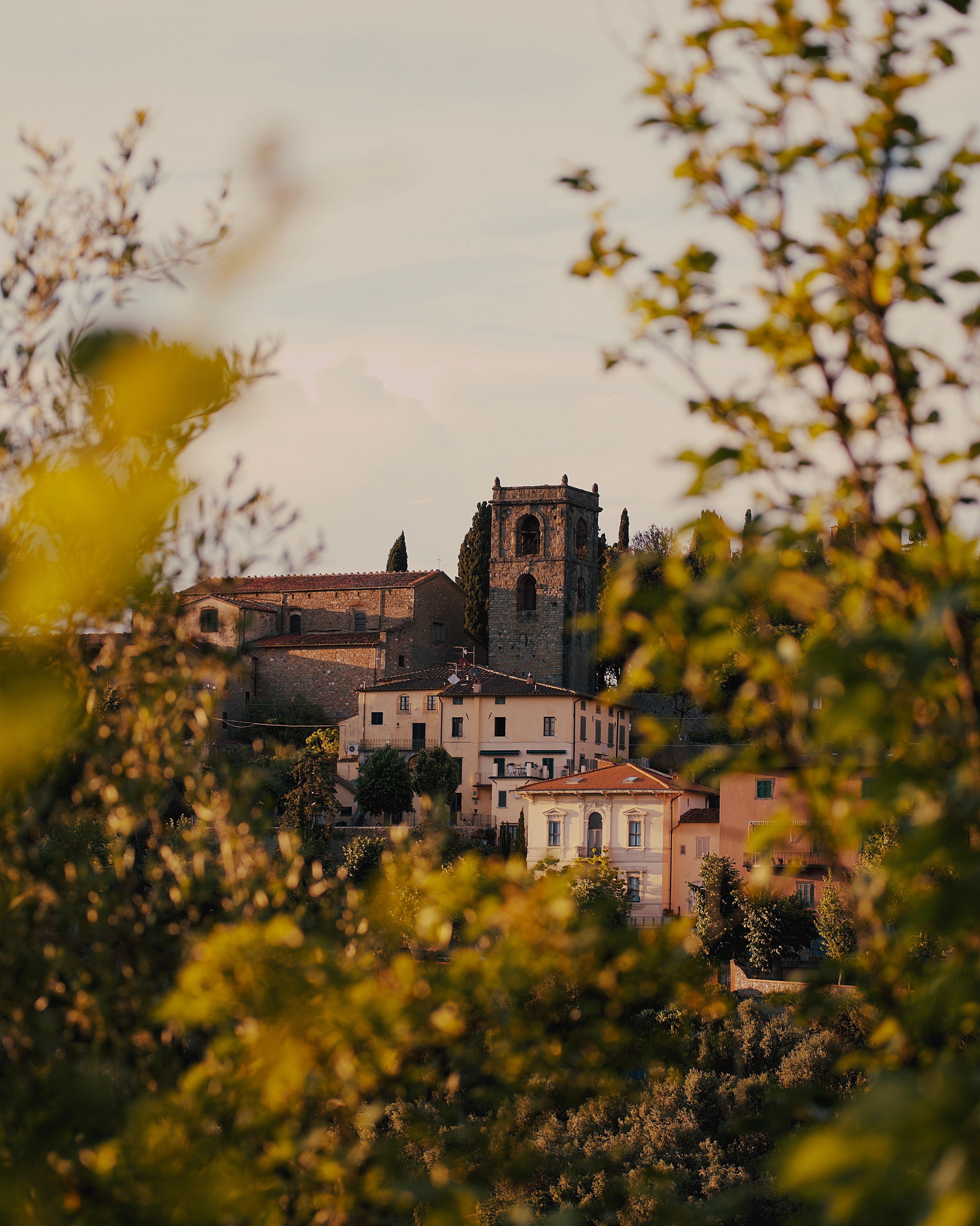 A church in the background with trees and buildings · Free Stock Photo