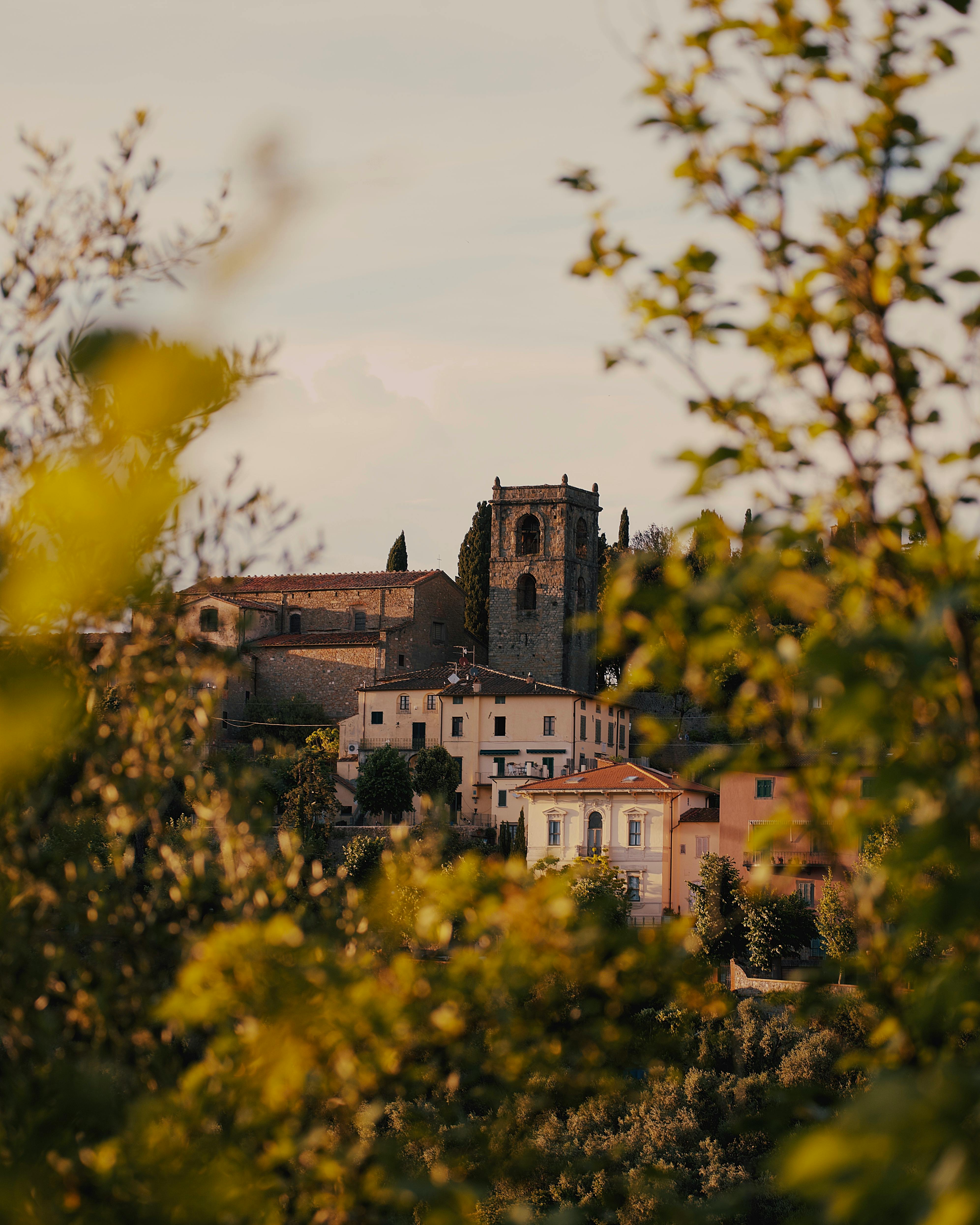 Tower and Houses in Town behind Trees · Free Stock Photo
