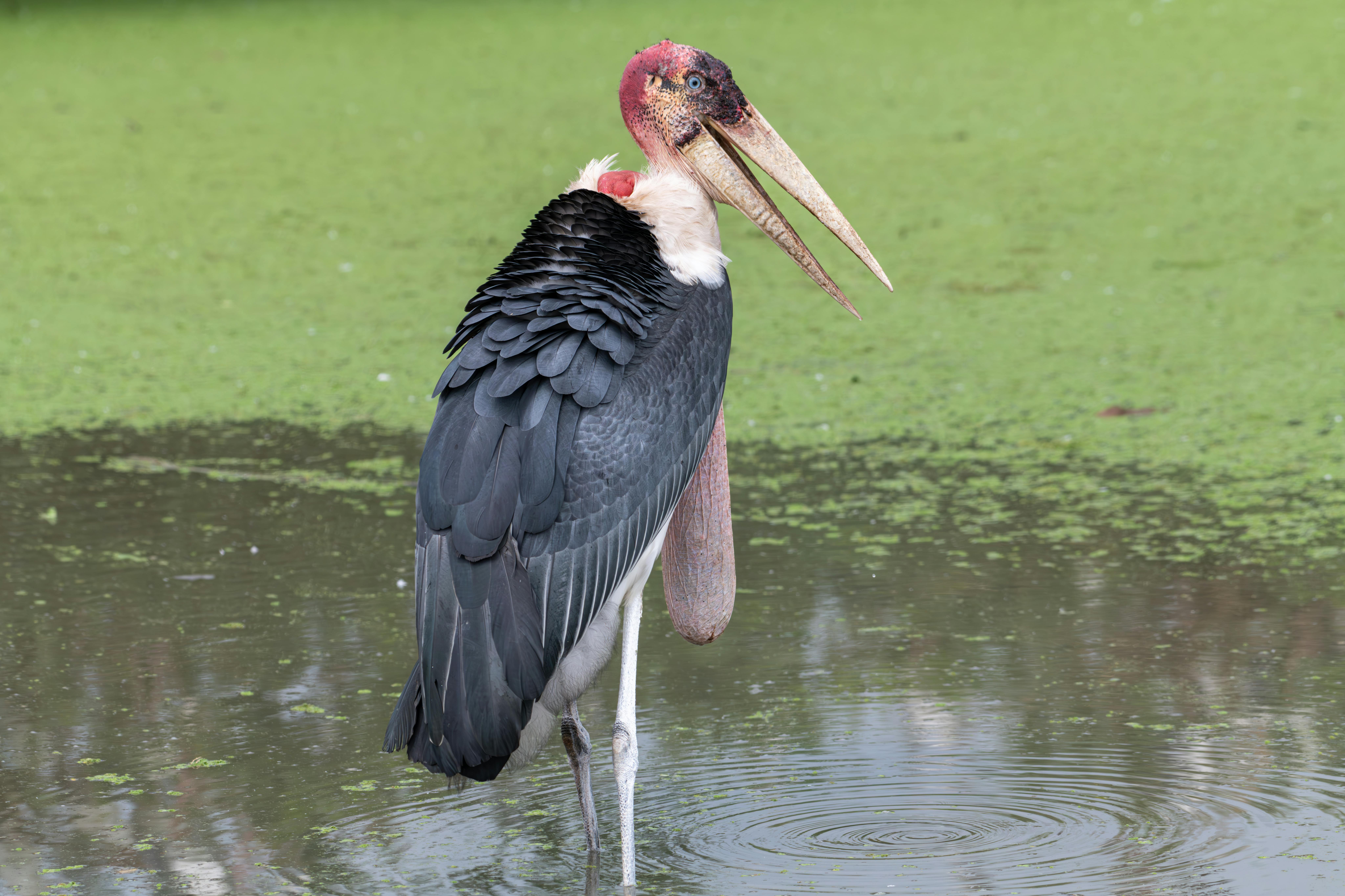 Marsh Tv Series Photos, Download The BEST Free Marsh Tv Series Stock ...