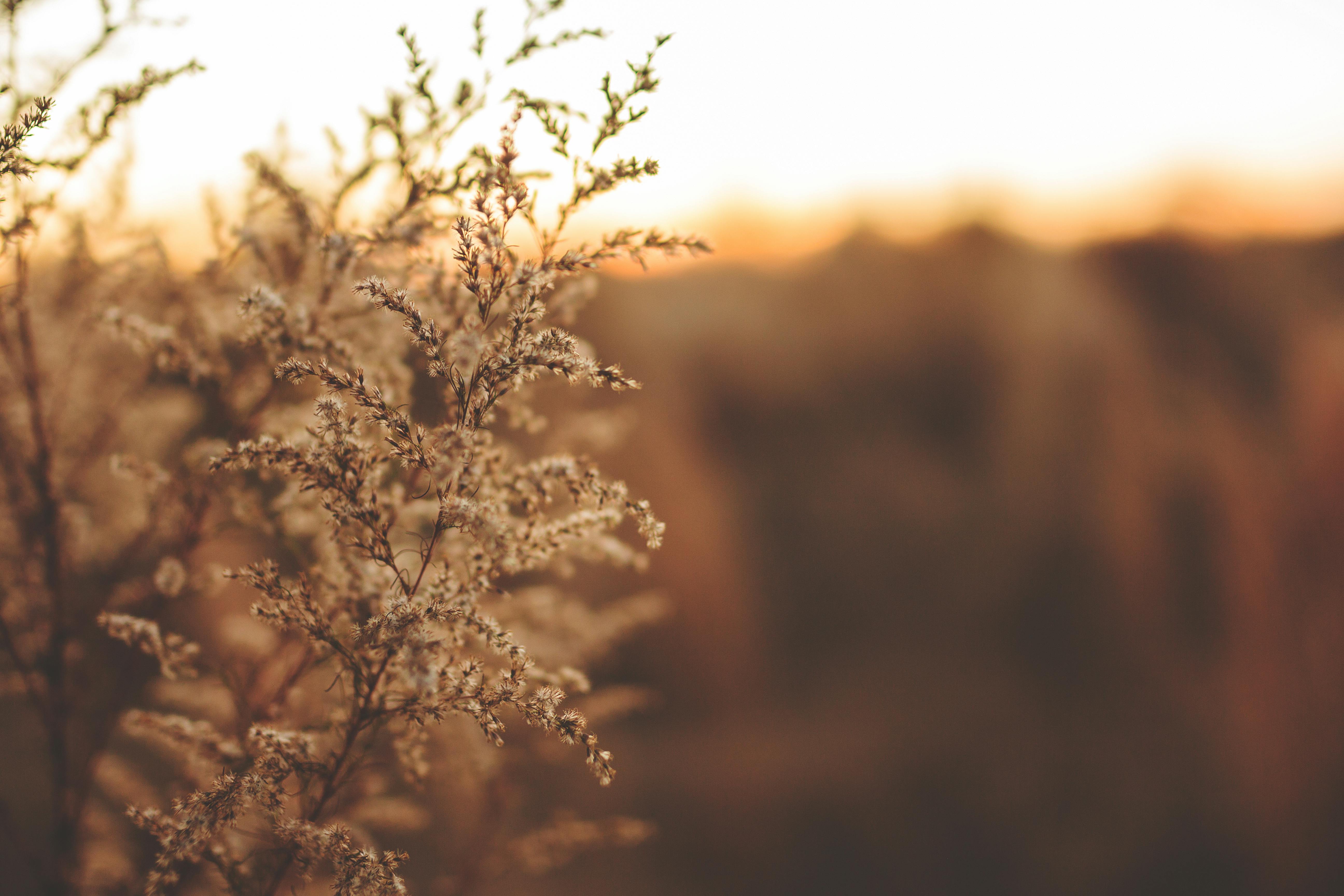 George Webster - Photography