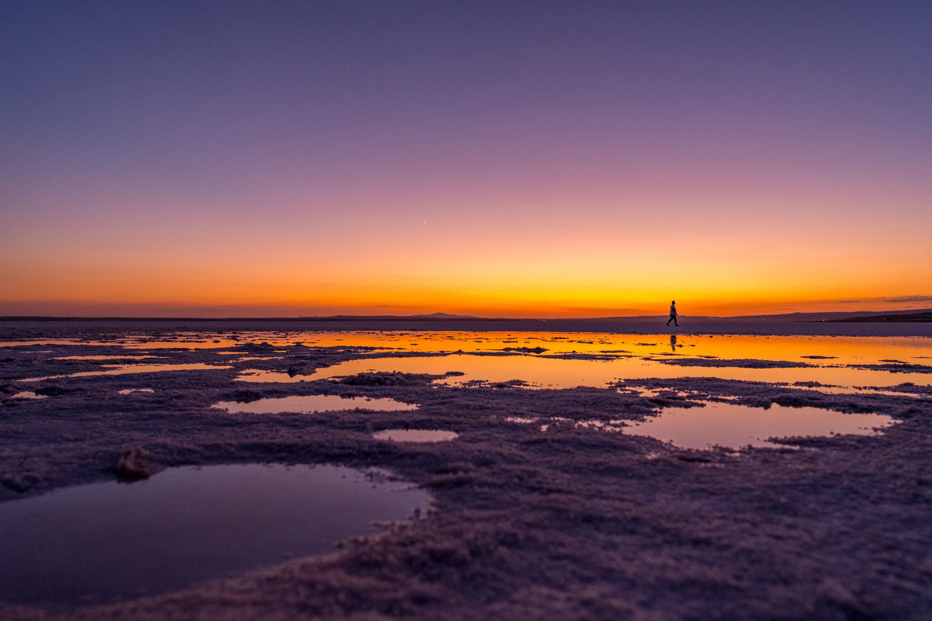 Scenic Sunset over a Wetland · Free Stock Photo