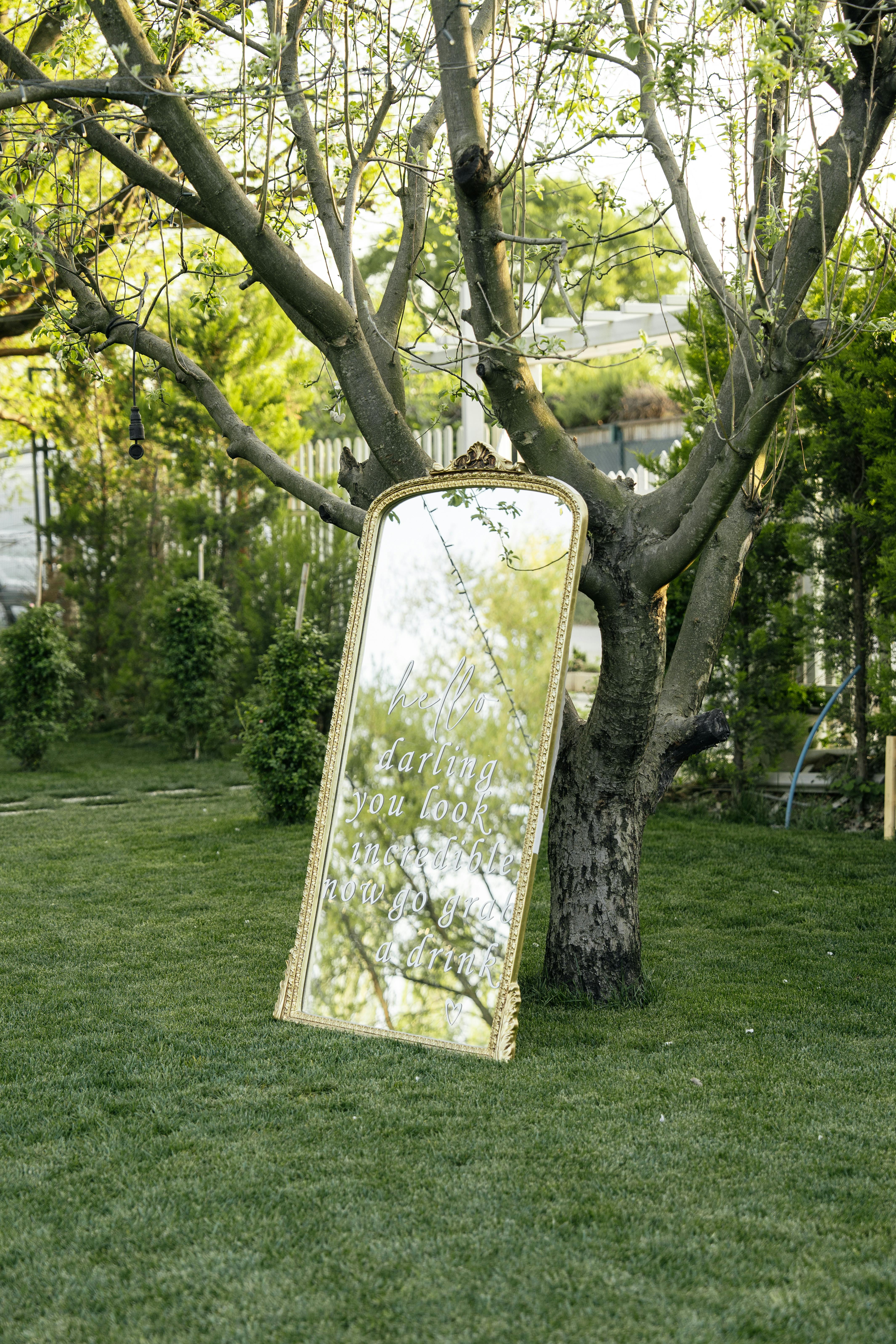 Mirror Laid Against a Tree · Free Stock Photo