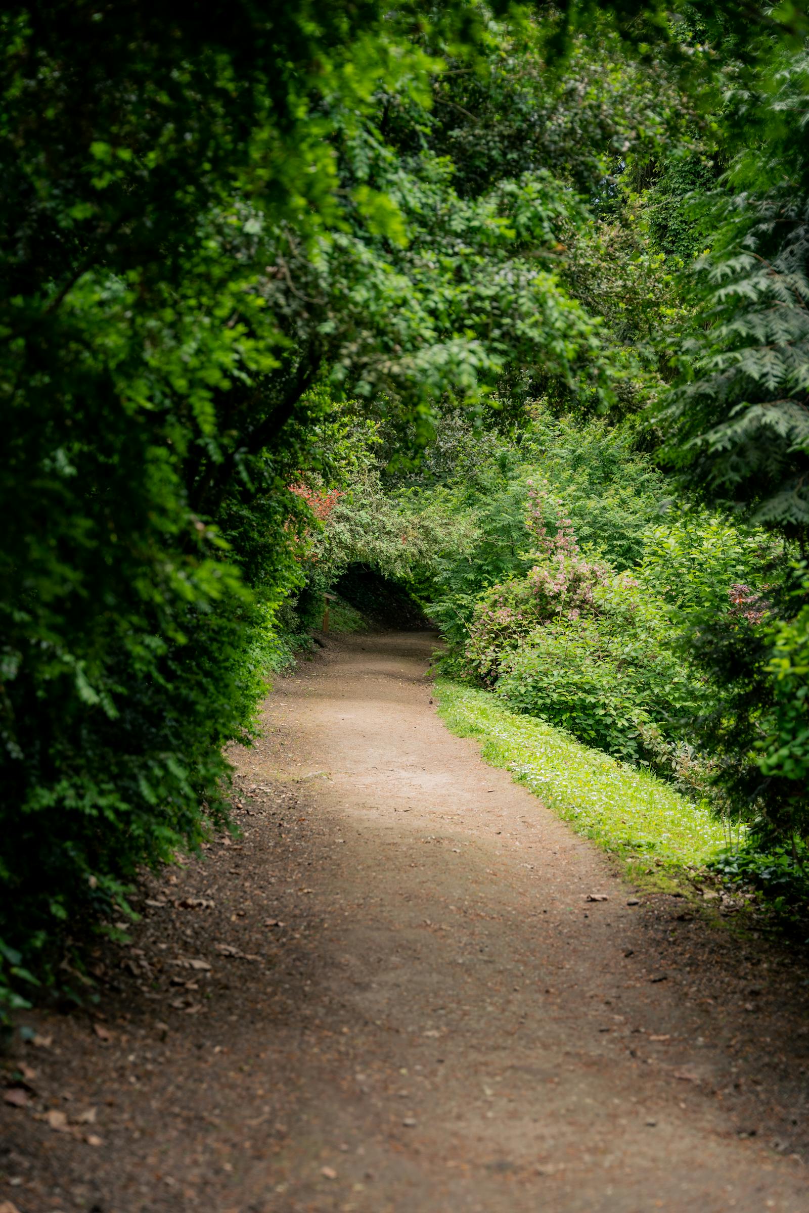 Footpath Photos, Download The BEST Free Footpath Stock Photos & HD Images