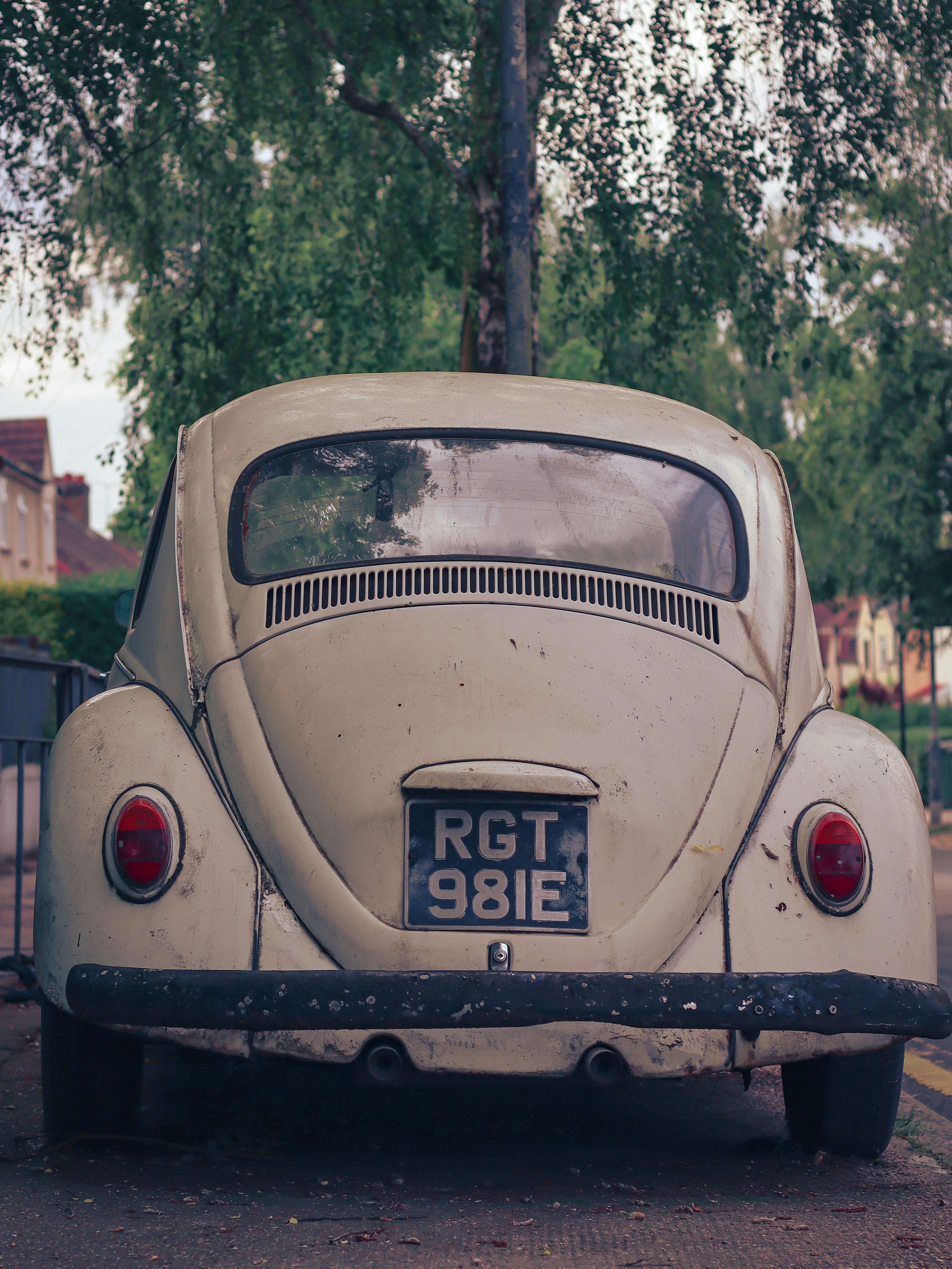 Back View of Volkswagen Beetle · Free Stock Photo