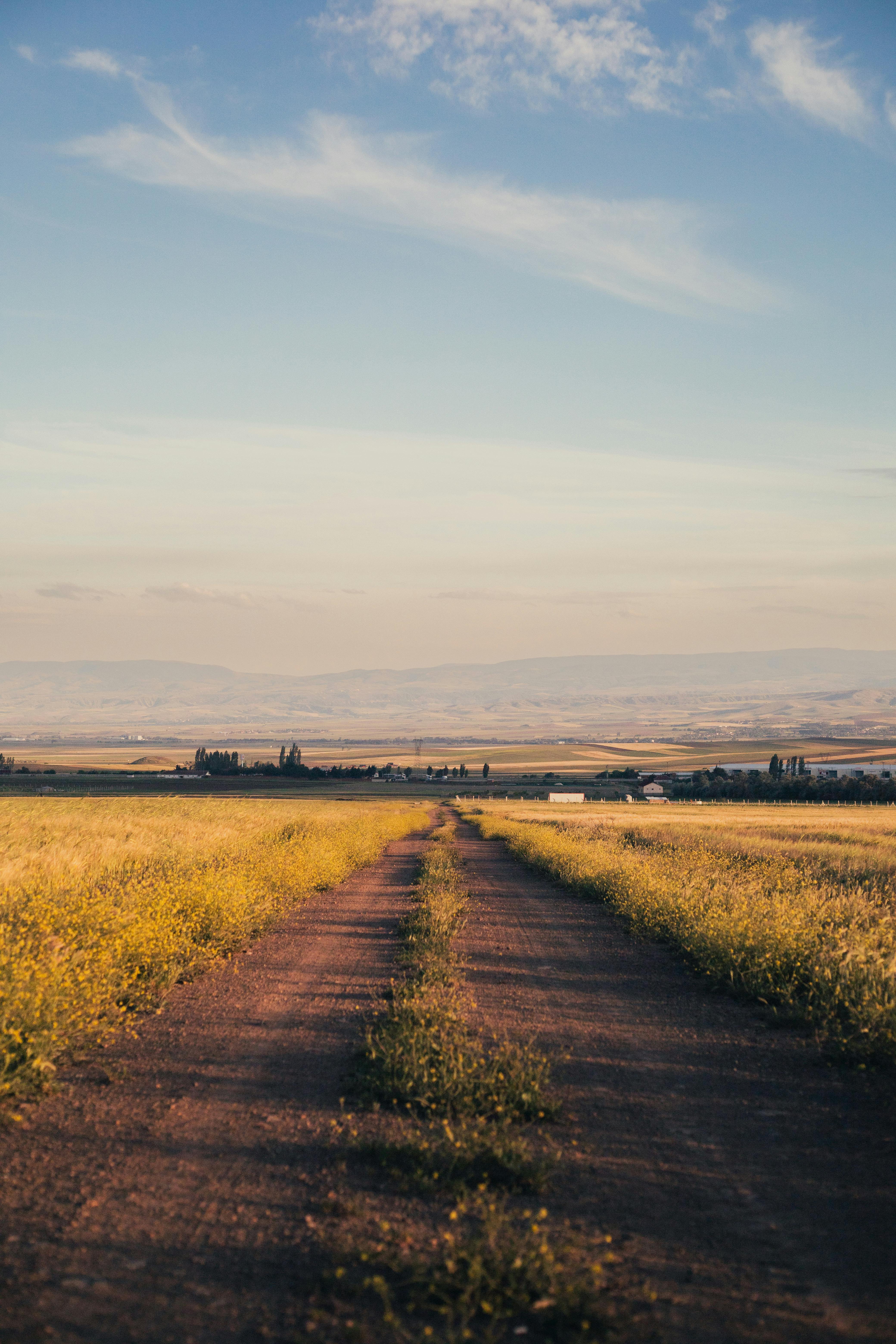 Countryside Dirt Road · Free Stock Photo