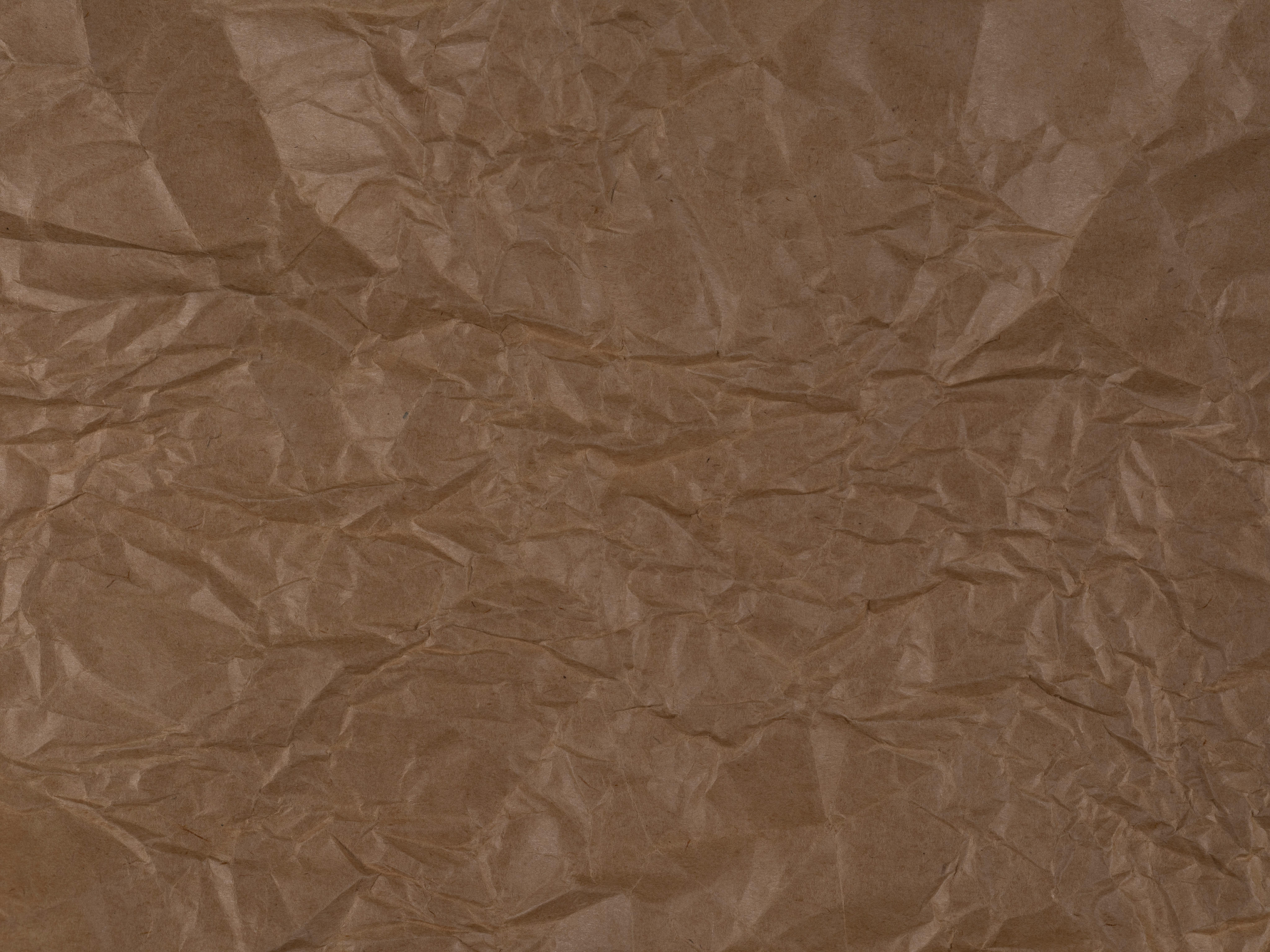 Brown, Wrinkled Paper · Free Stock Photo