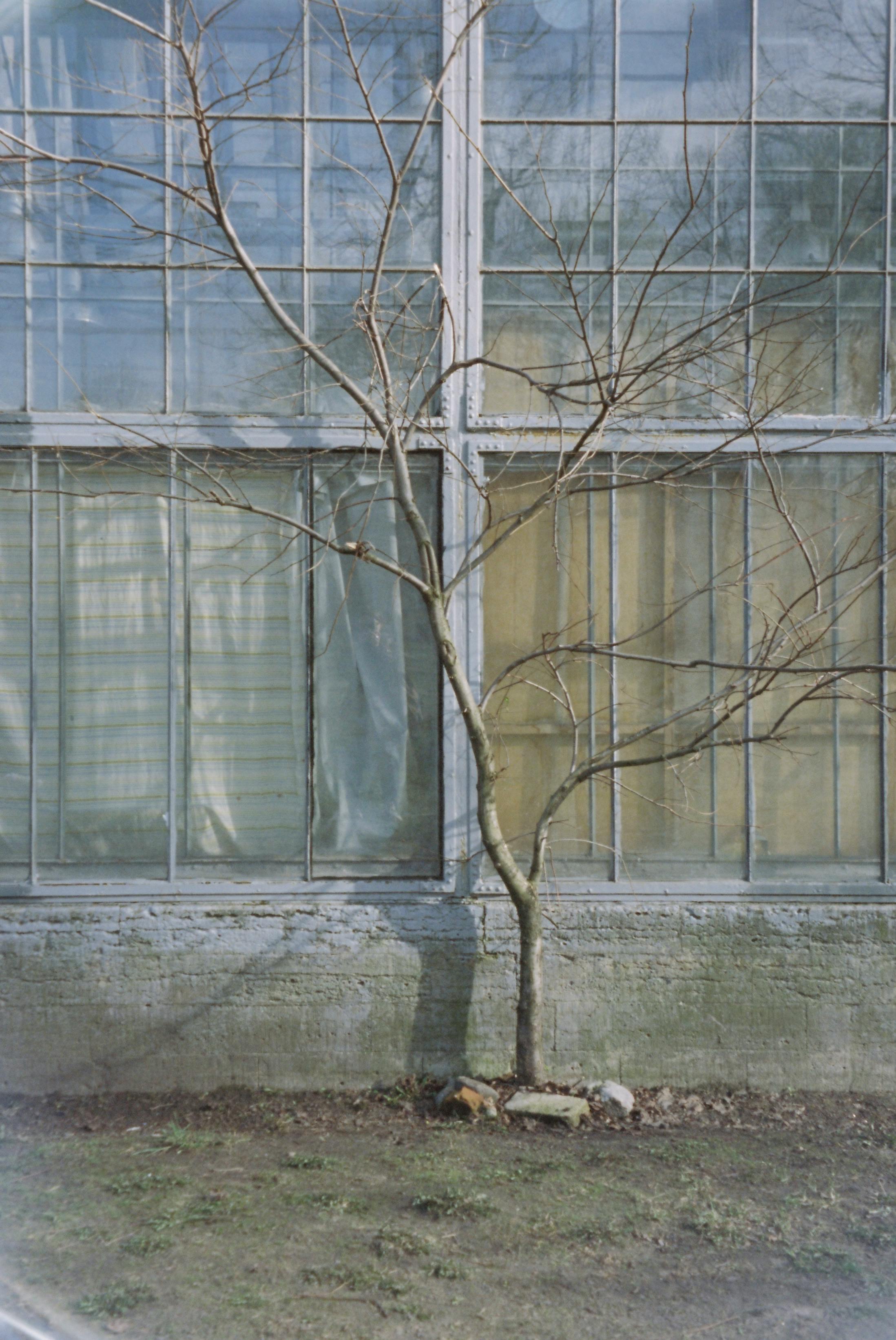 Gratis stockfoto van aardetinten, architectonische details, bladloze ...