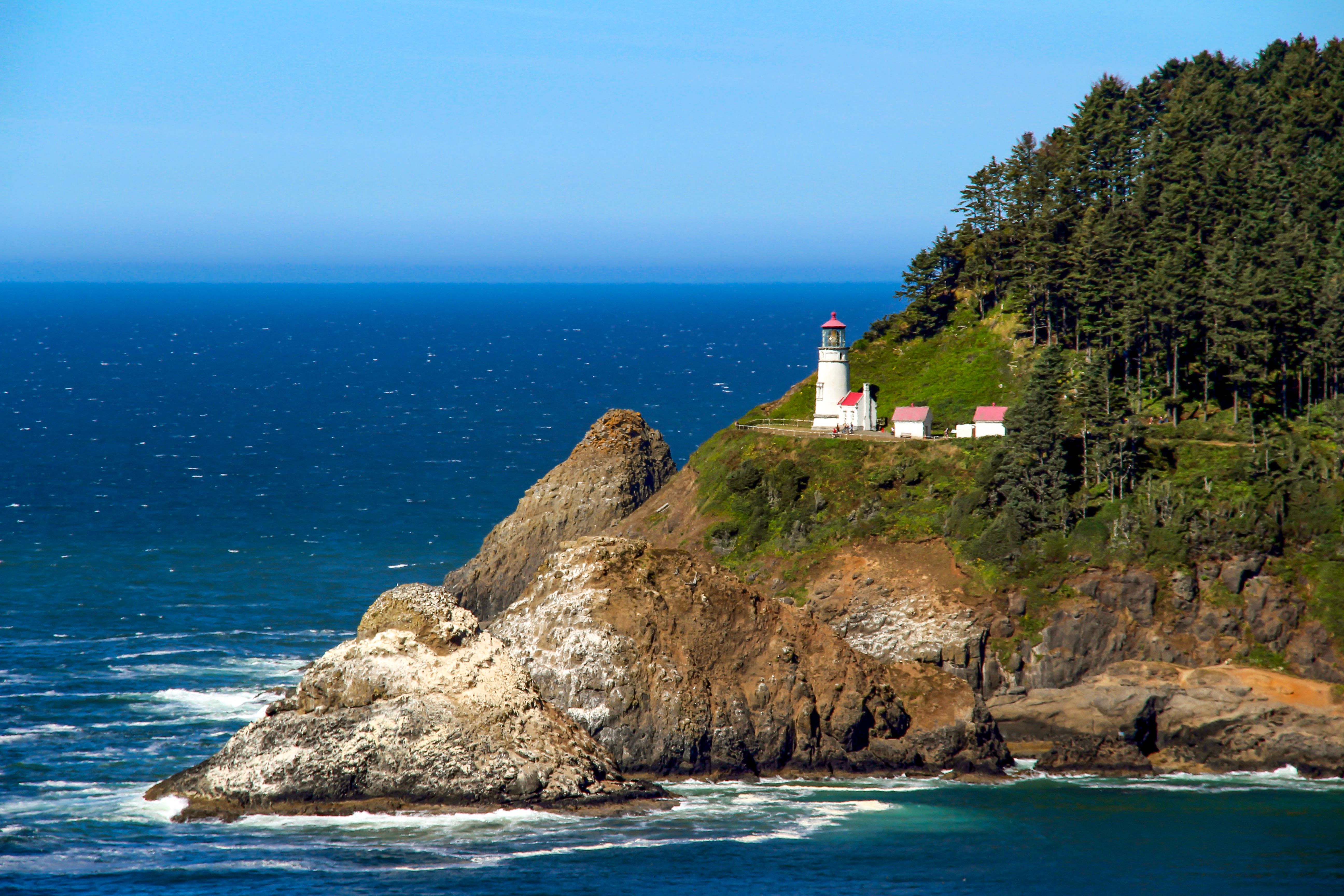 Oregon Forest Photos, Download The BEST Free Oregon Forest Stock Photos ...