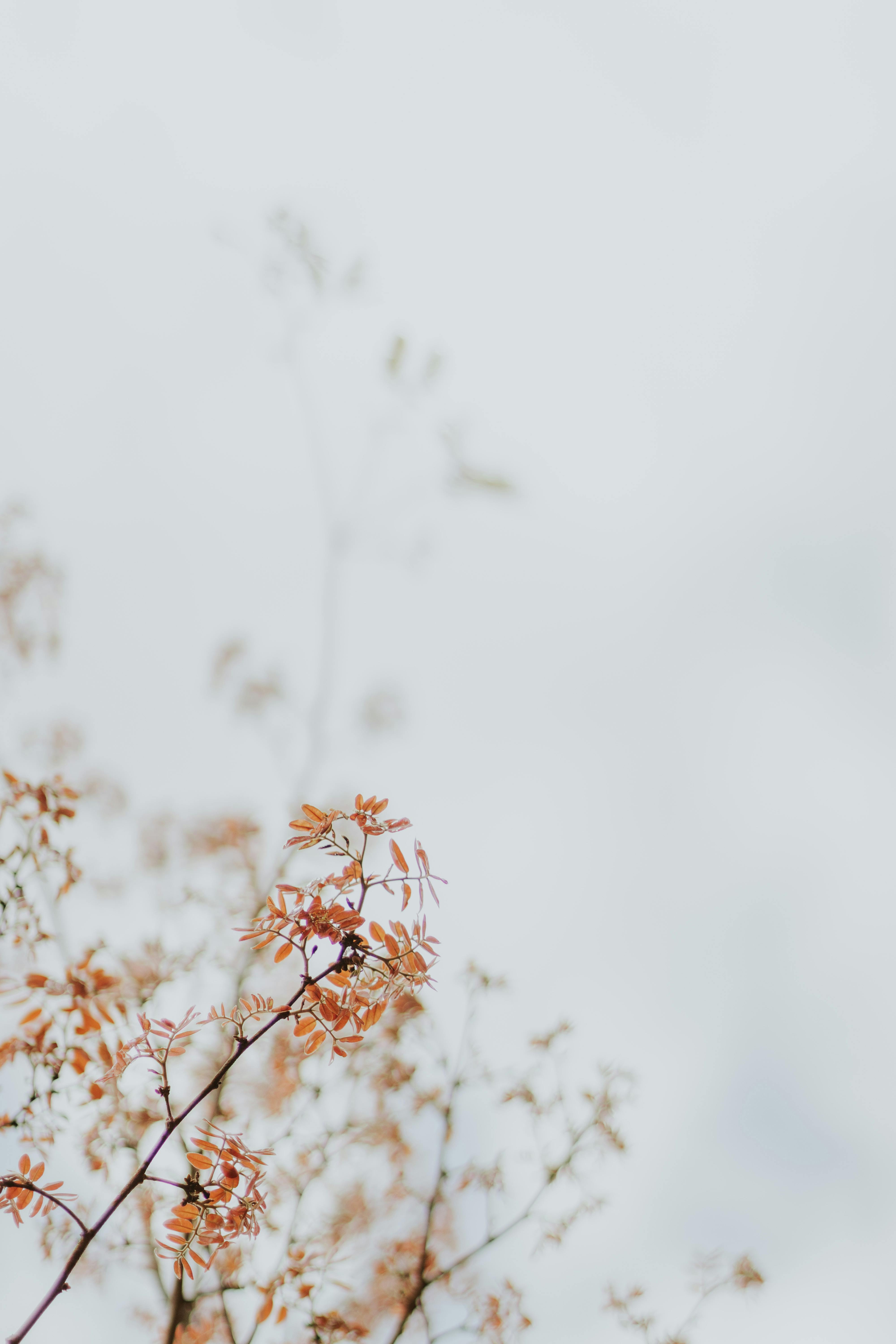 Thin Tabel Photos, Download The BEST Free Thin Tabel Stock Photos & HD ...