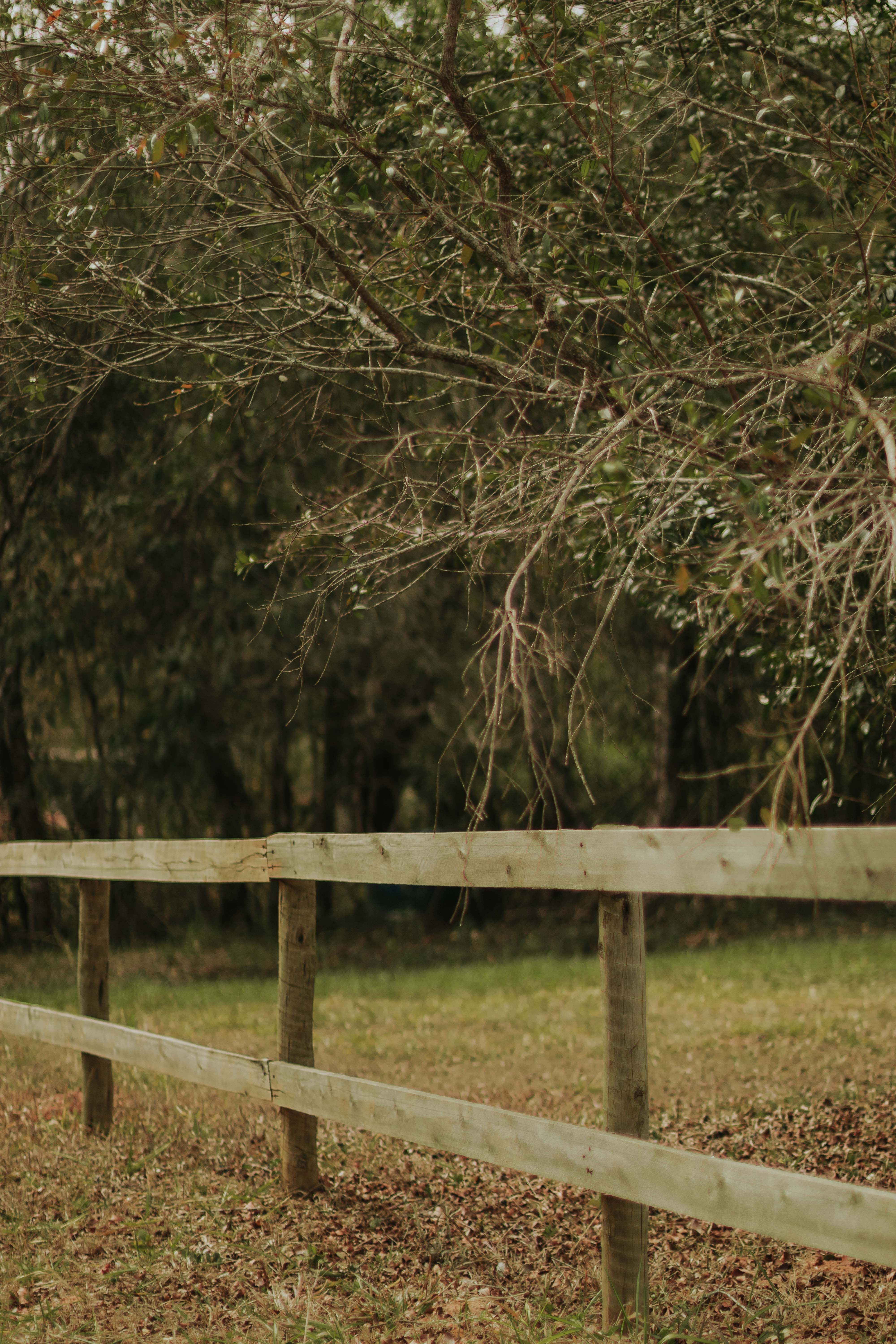 Wooden Fence and Trees in Countryside · Free Stock Photo
