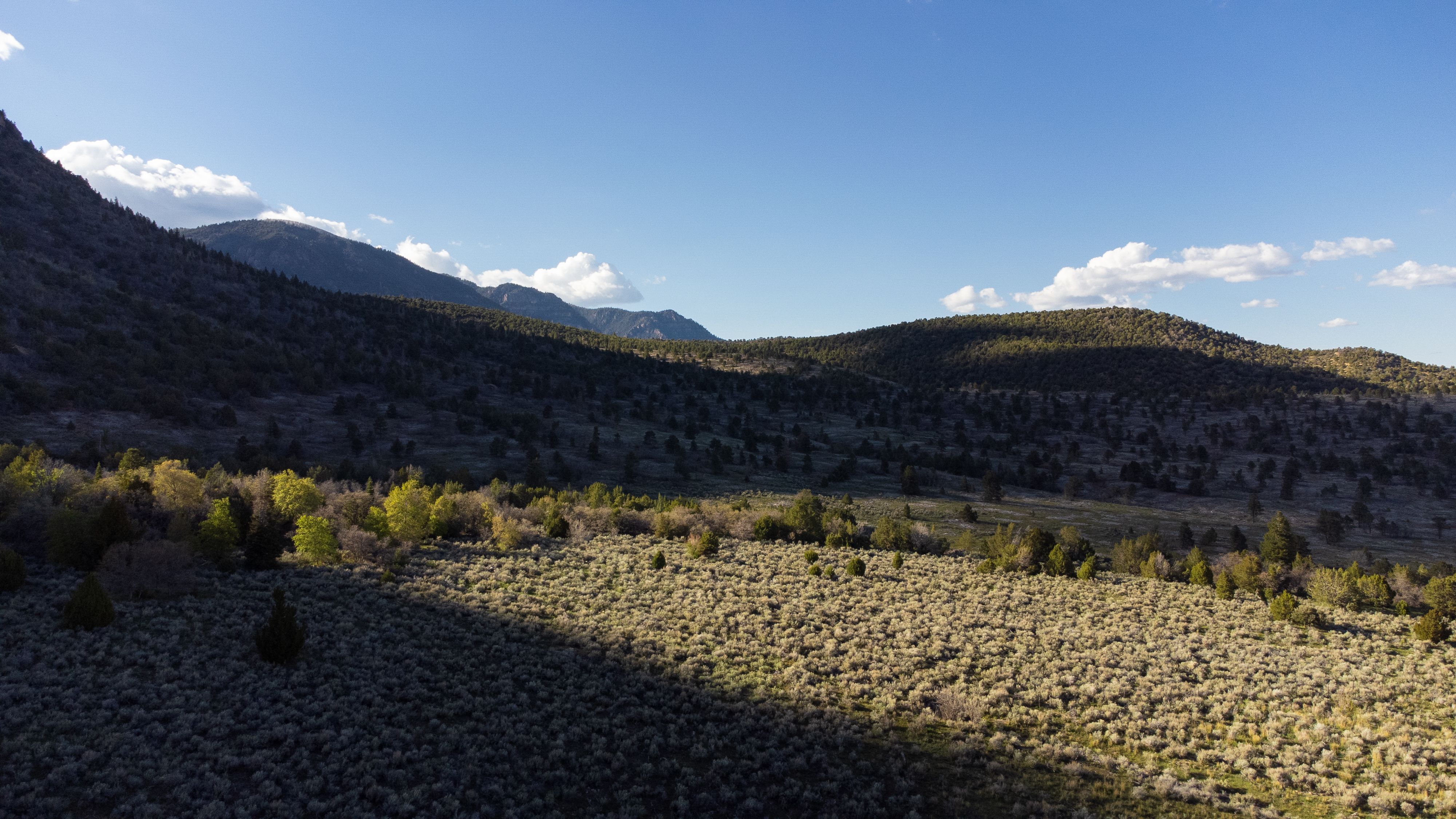Landscape of Countryside · Free Stock Photo