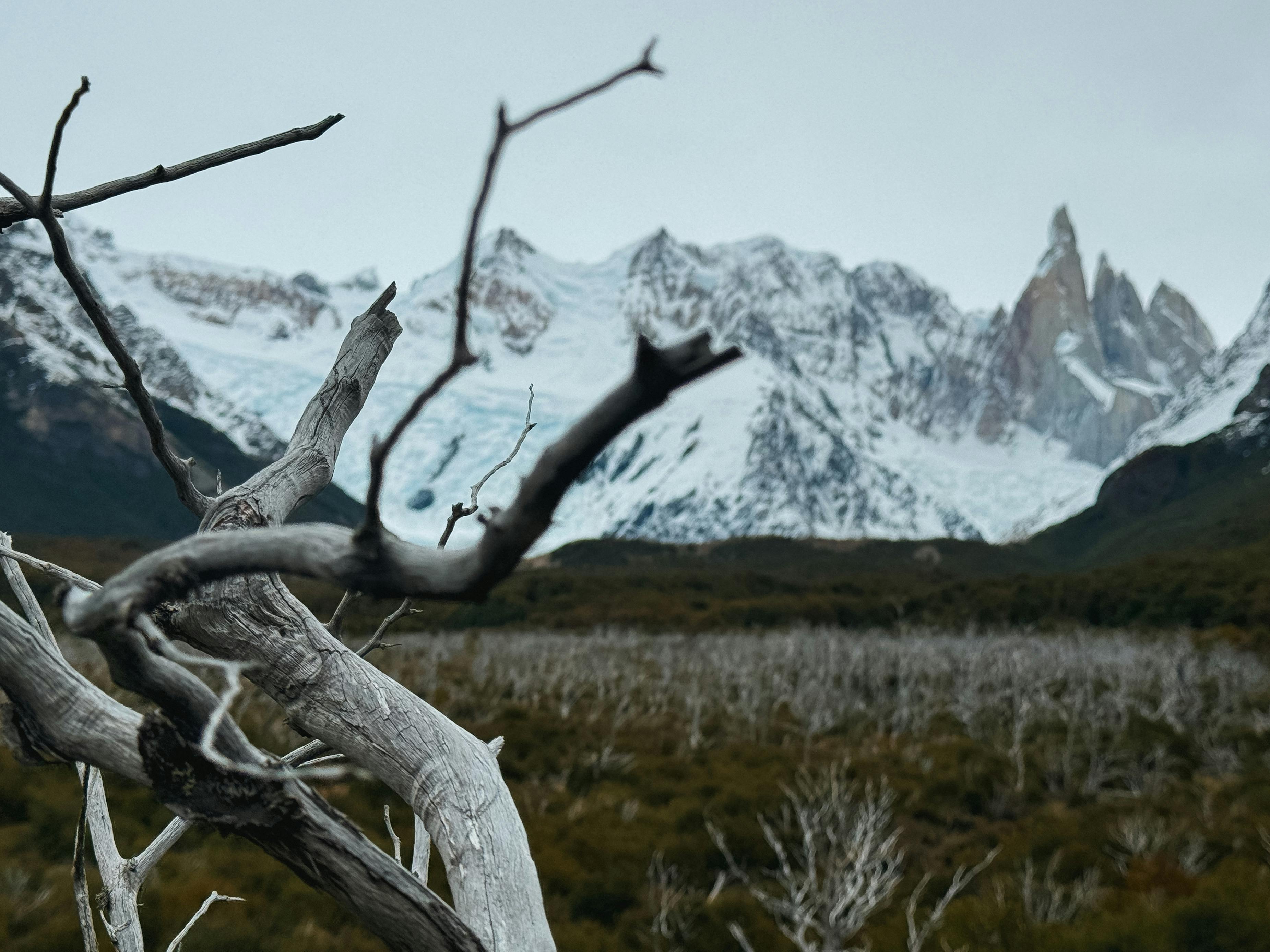 Brown Mountains · Free Stock Photo