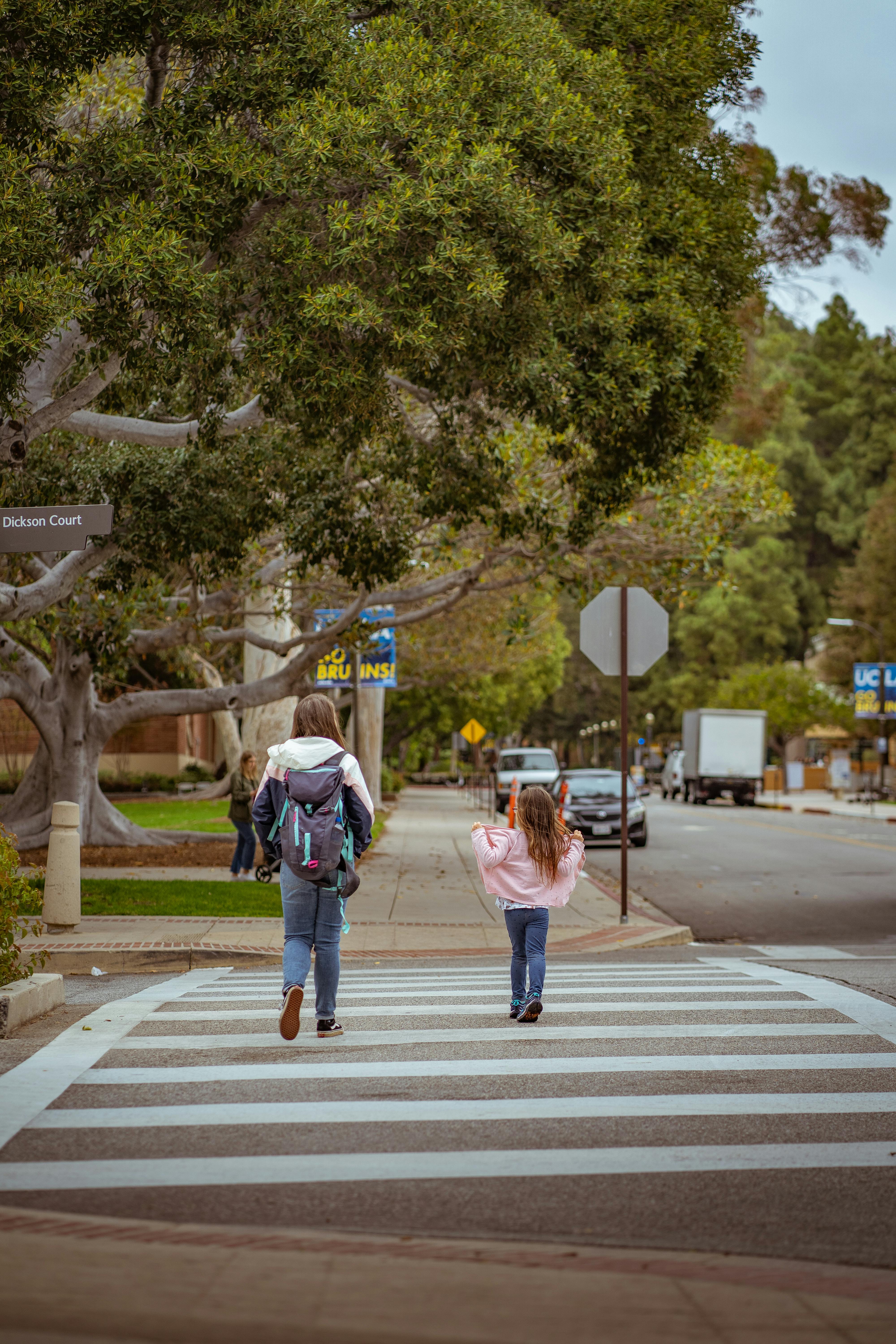 A couple walking across a crosswalk in front of a tree · Free Stock Photo