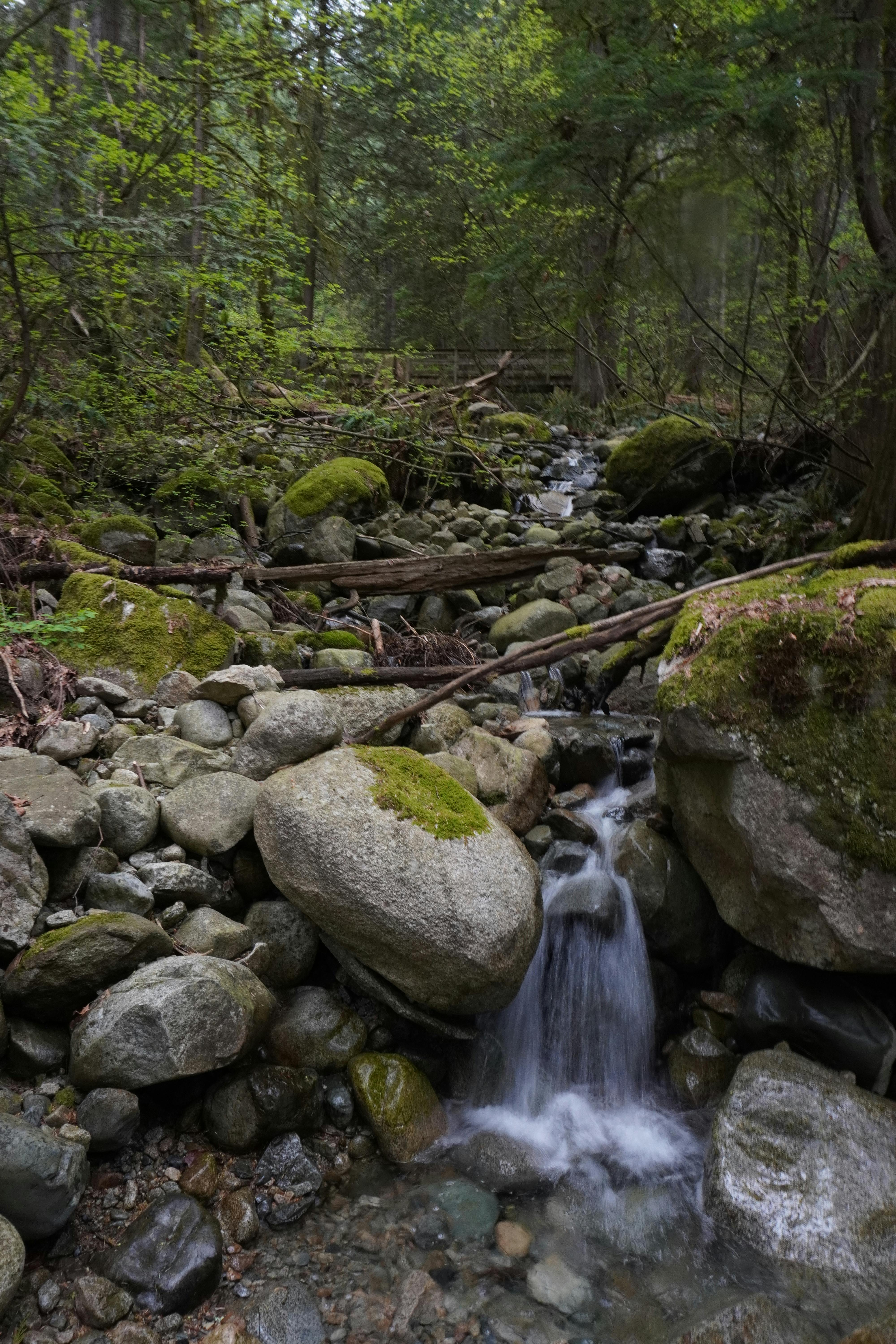 Foto de stock gratuita sobre agua dulce, al aire libre, arboles, área ...
