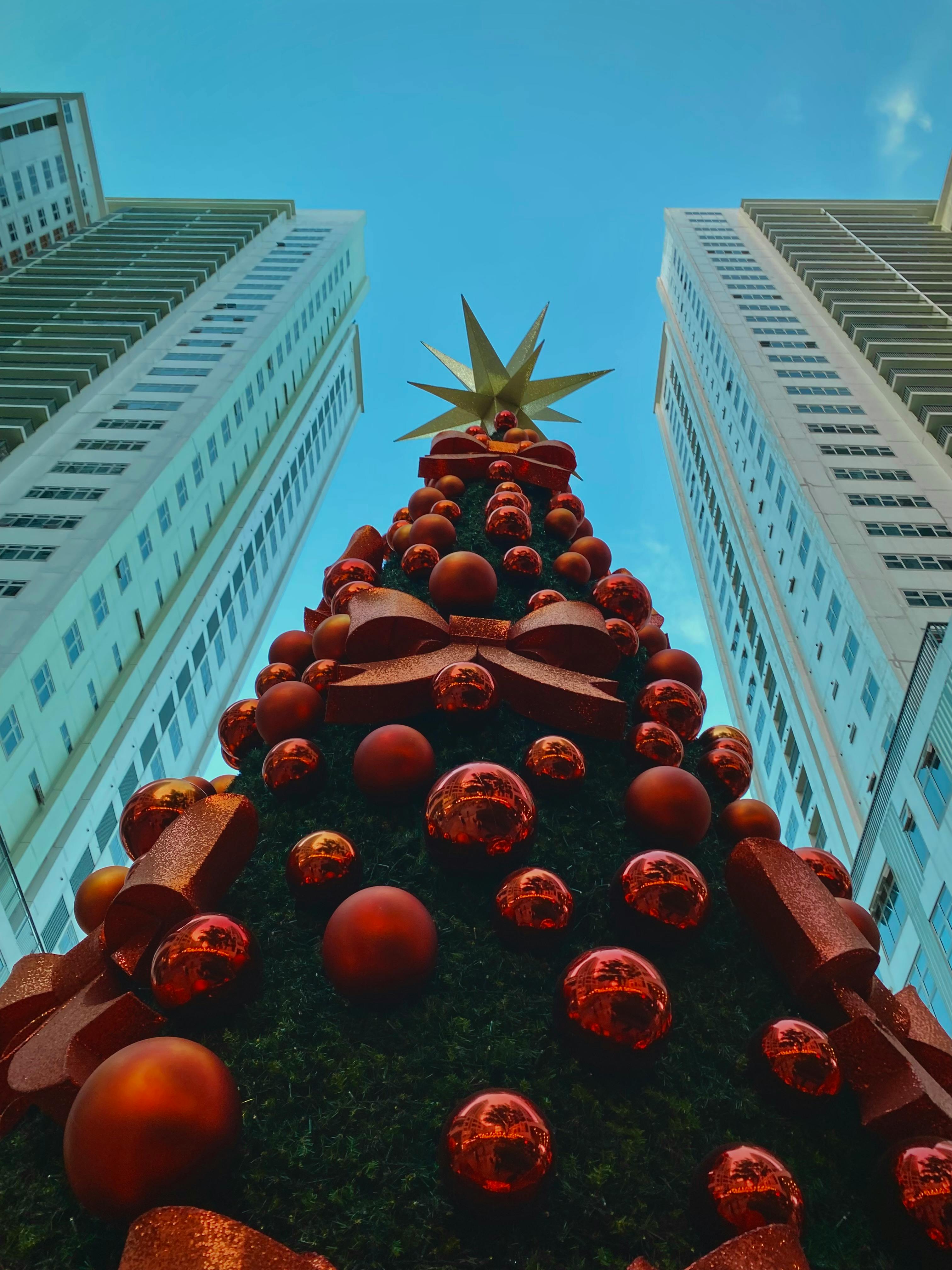 Christmas Tree between Skyscrapers · Free Stock Photo