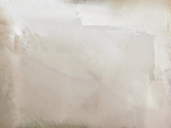 Sclera Texture Photos, Download The BEST Free Sclera Texture Stock ...