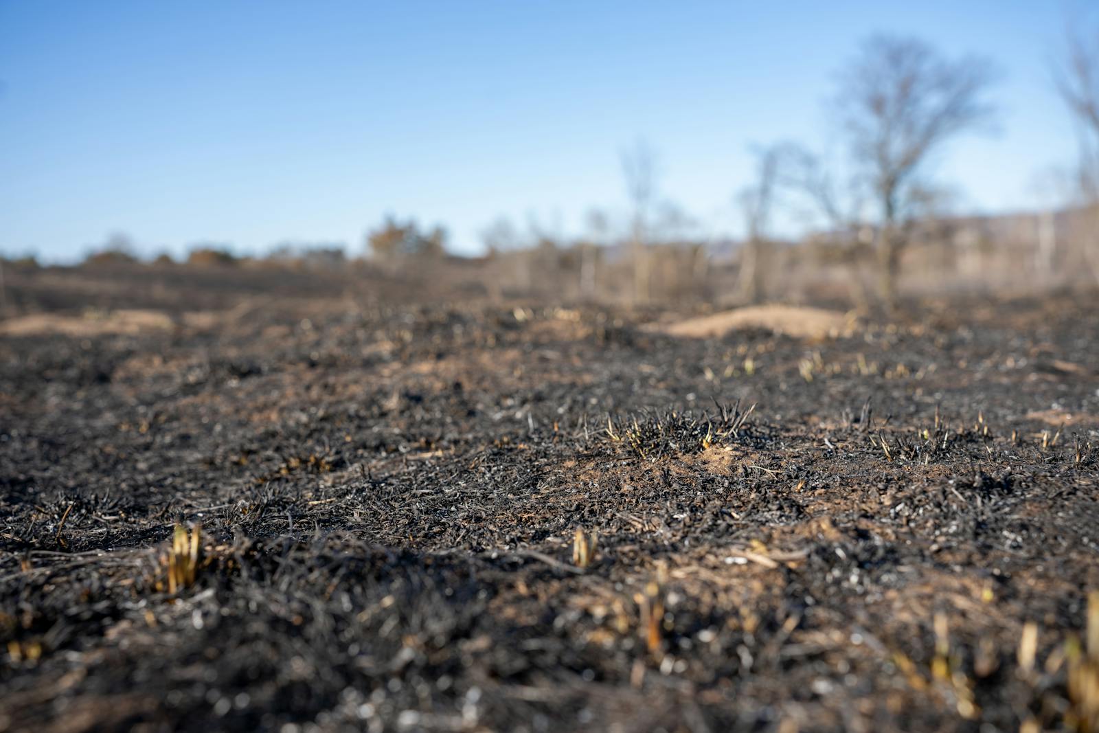 Dirt Effect Photos, Download The BEST Free Dirt Effect Stock Photos ...