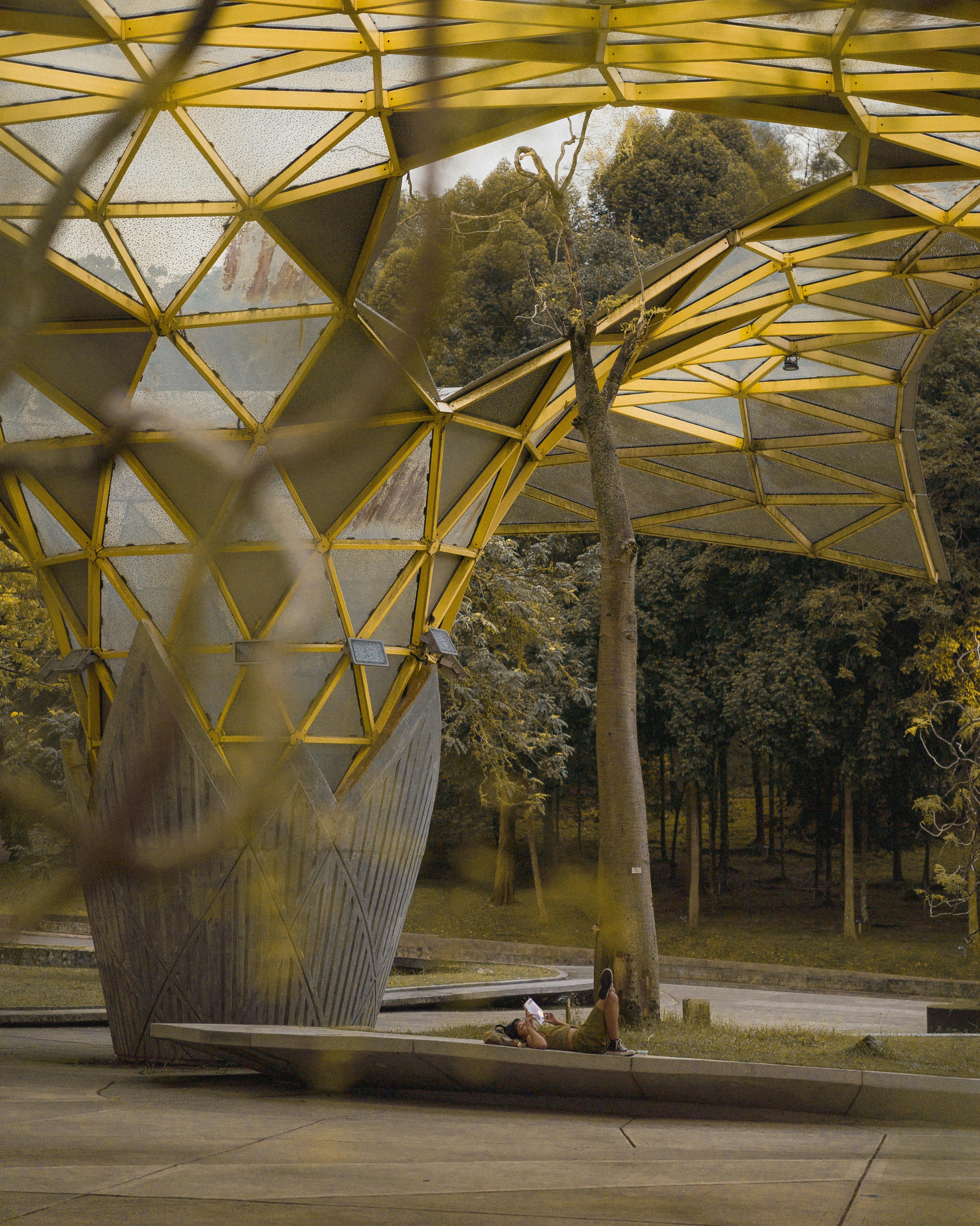 Canopy at the Main Square of Perdana Botanical Garden · Free Stock Photo