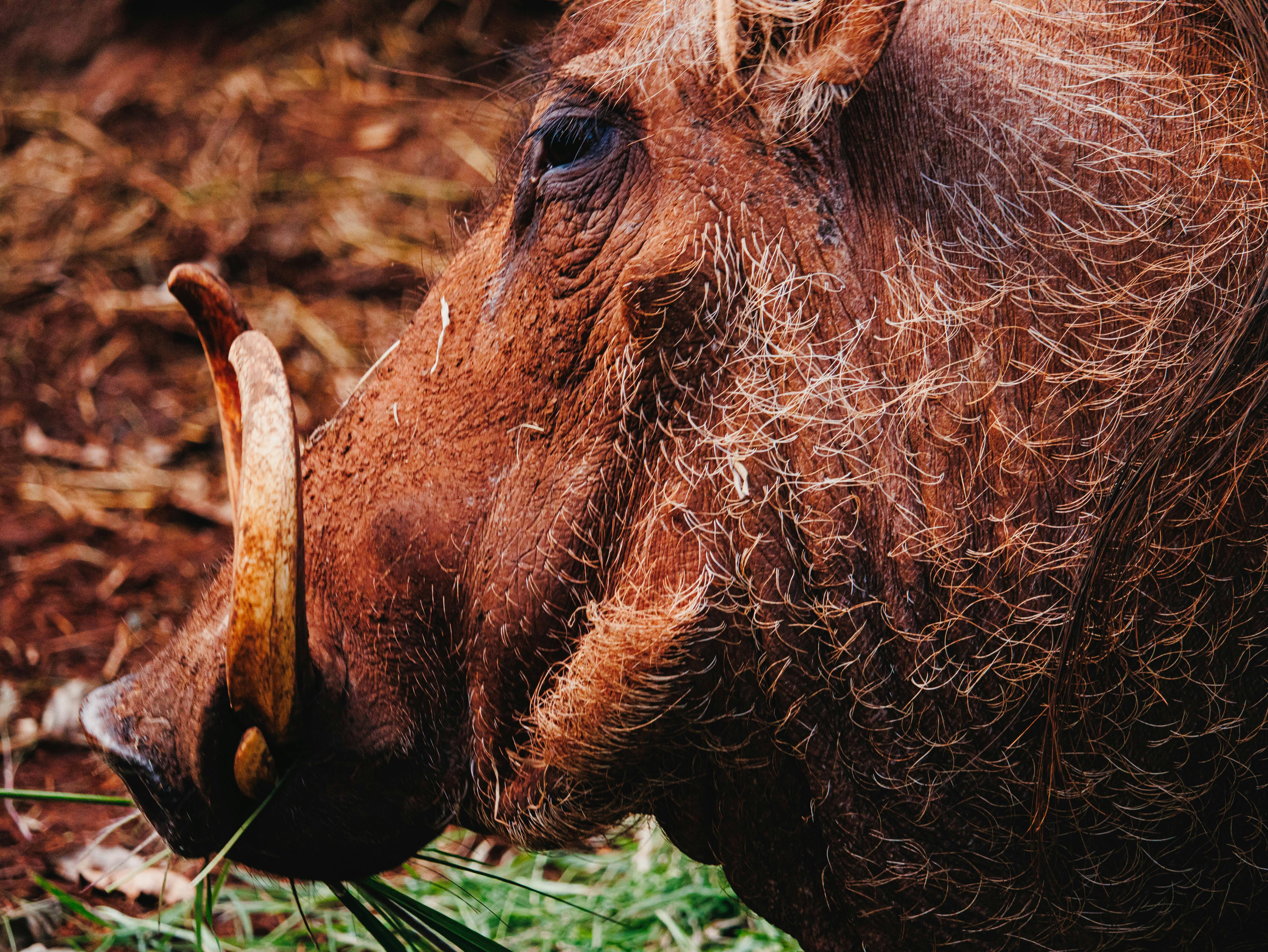 Slop Hair Photos, Download The BEST Free Slop Hair Stock Photos & HD Images