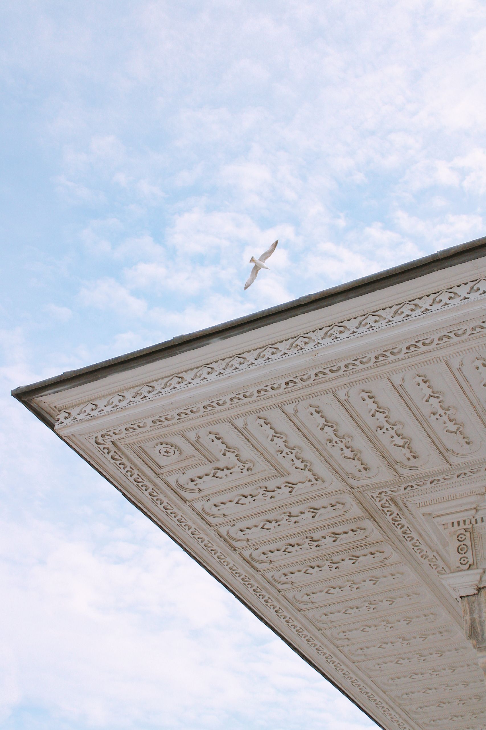 White Bird Flying over Roof · Free Stock Photo
