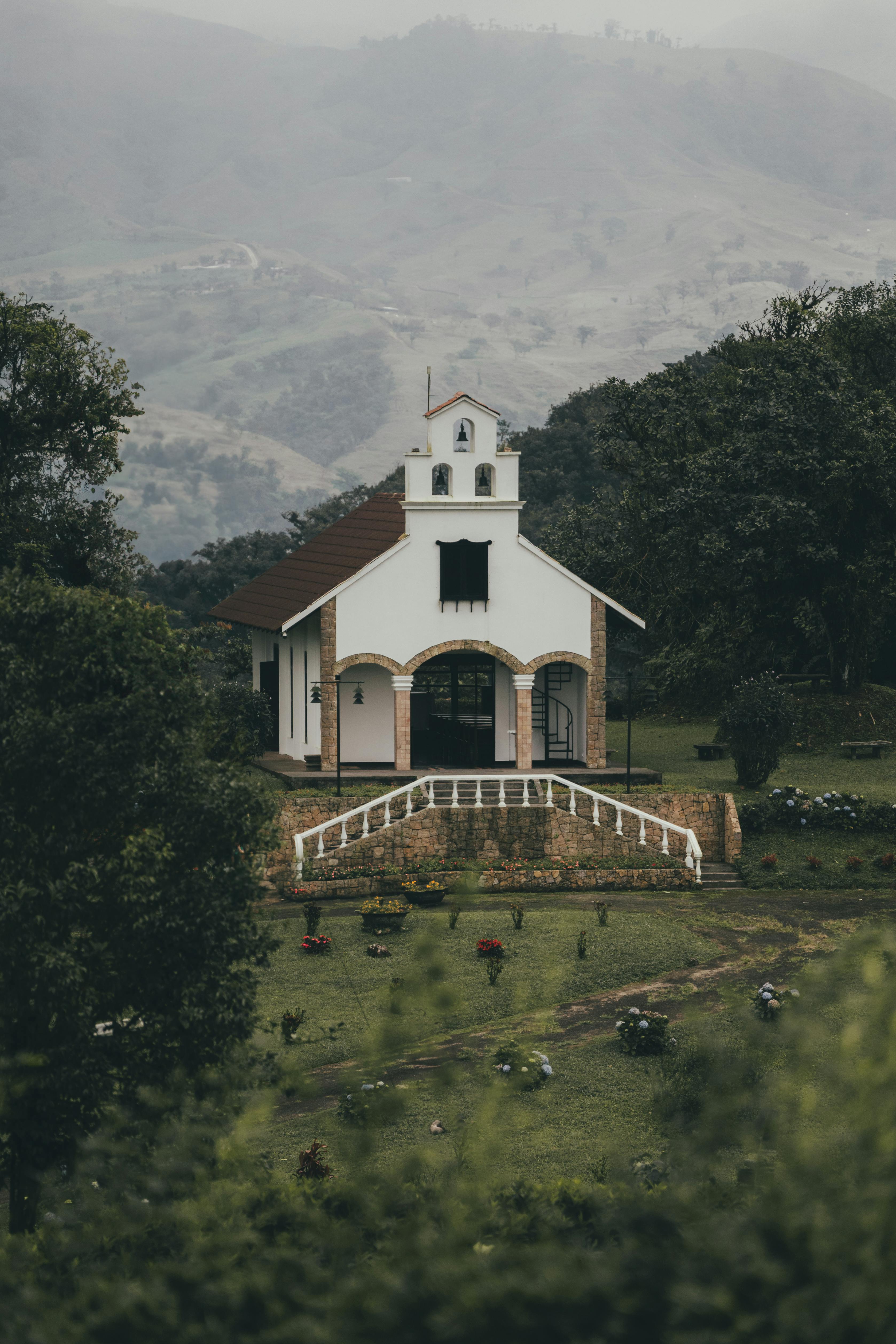 Foto de stock gratuita sobre adorar, agricultura, al aire libre ...