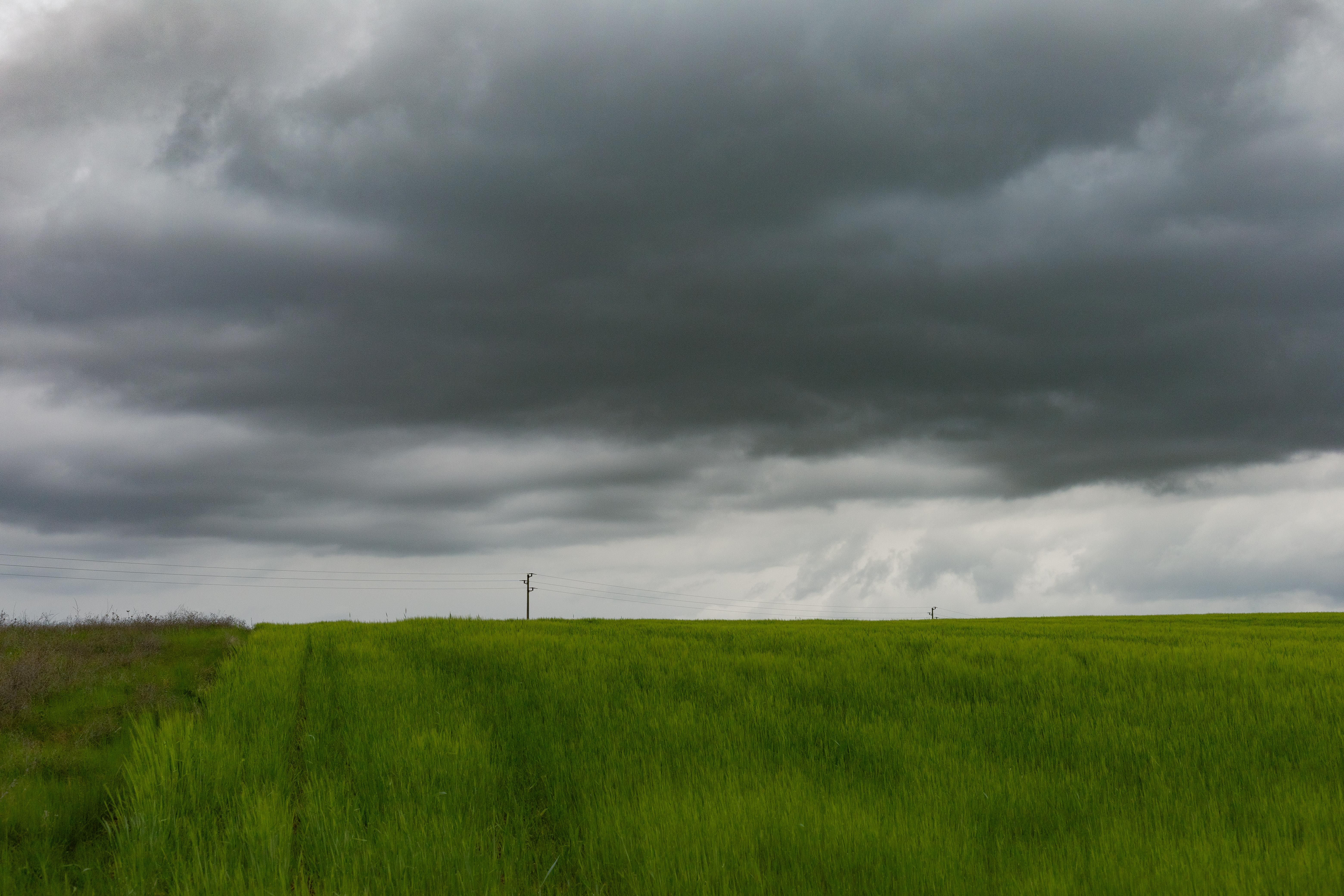Overcast over Rural Field · Free Stock Photo