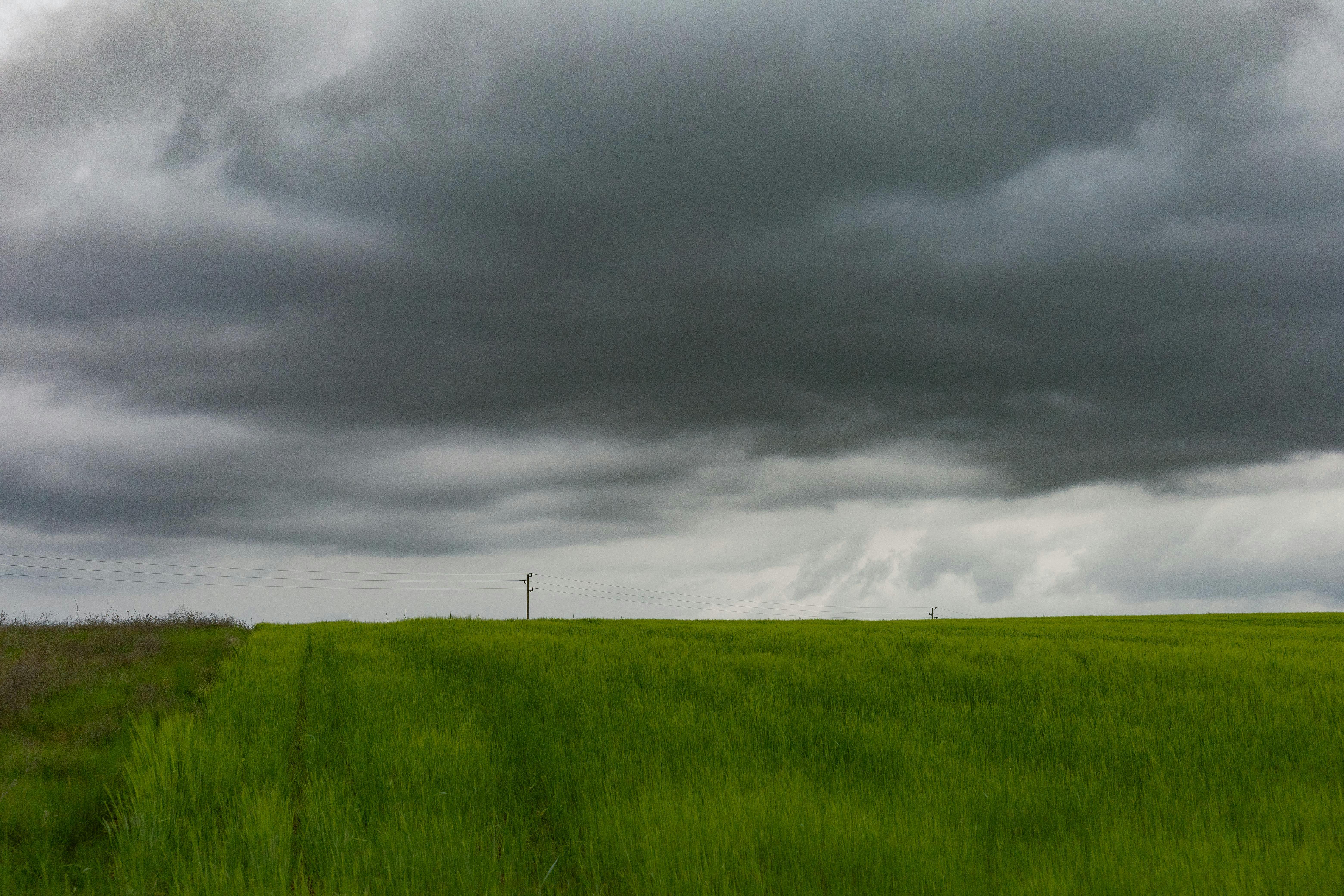 Overcast over Rural Field · Free Stock Photo