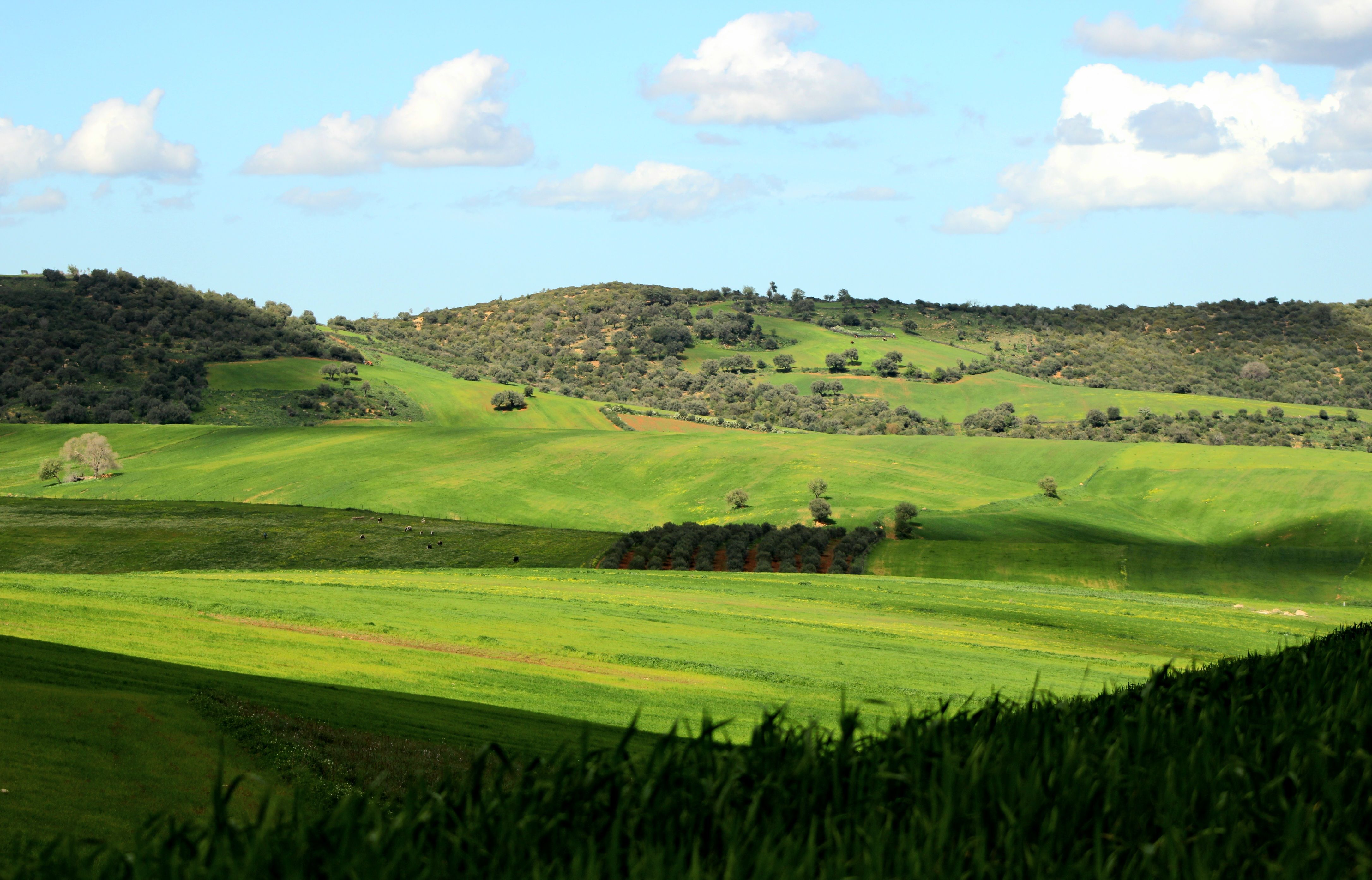 Landscape of Countryside · Free Stock Photo