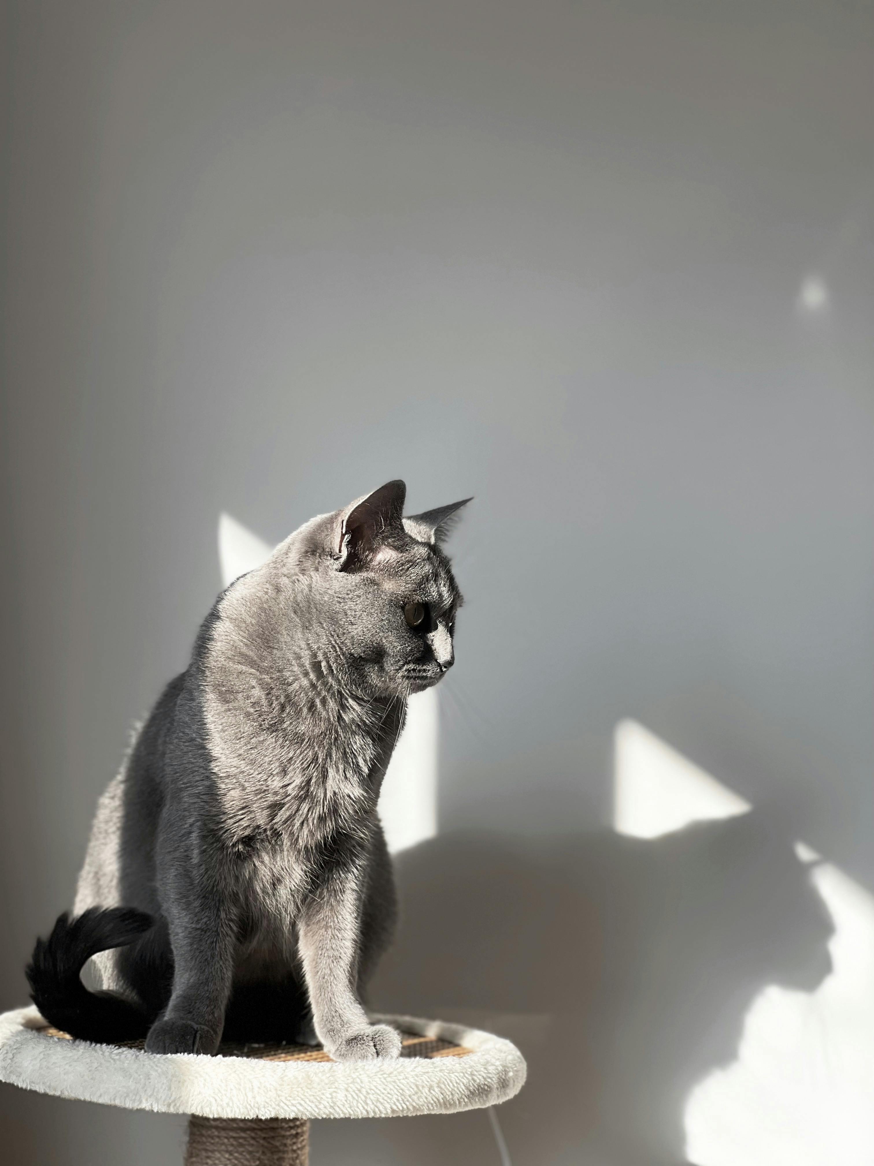 Side View · Free Stock Photo