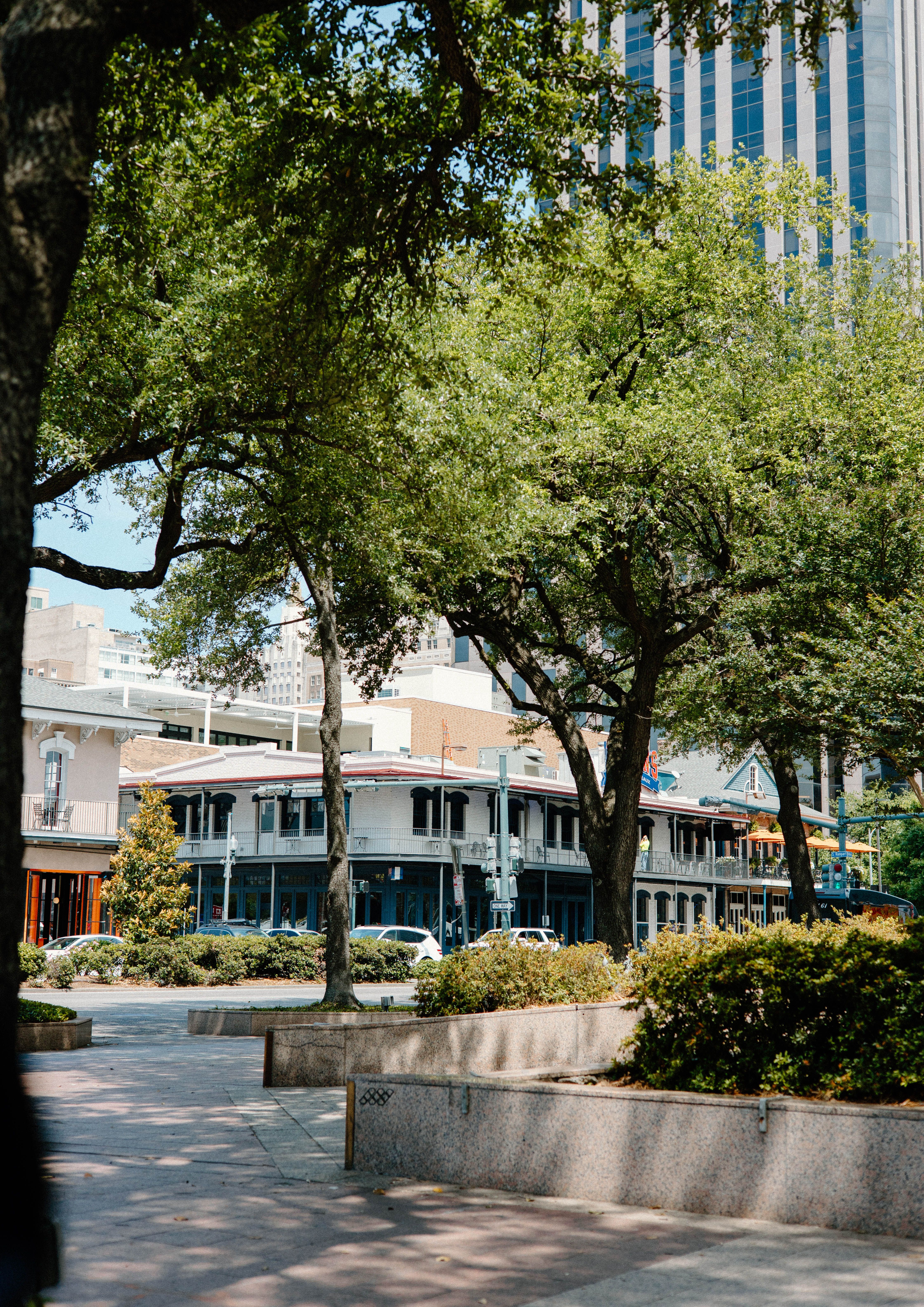 Urban Square with Trees · Free Stock Photo