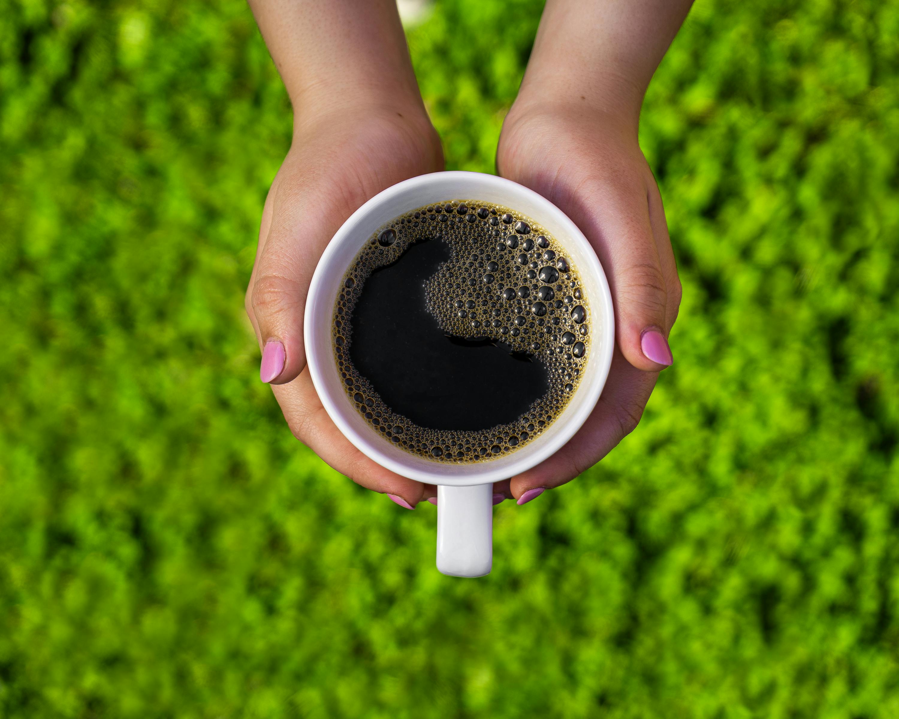 Hands Holding a Mug of Coffee Over a Green Background · Free Stock Photo