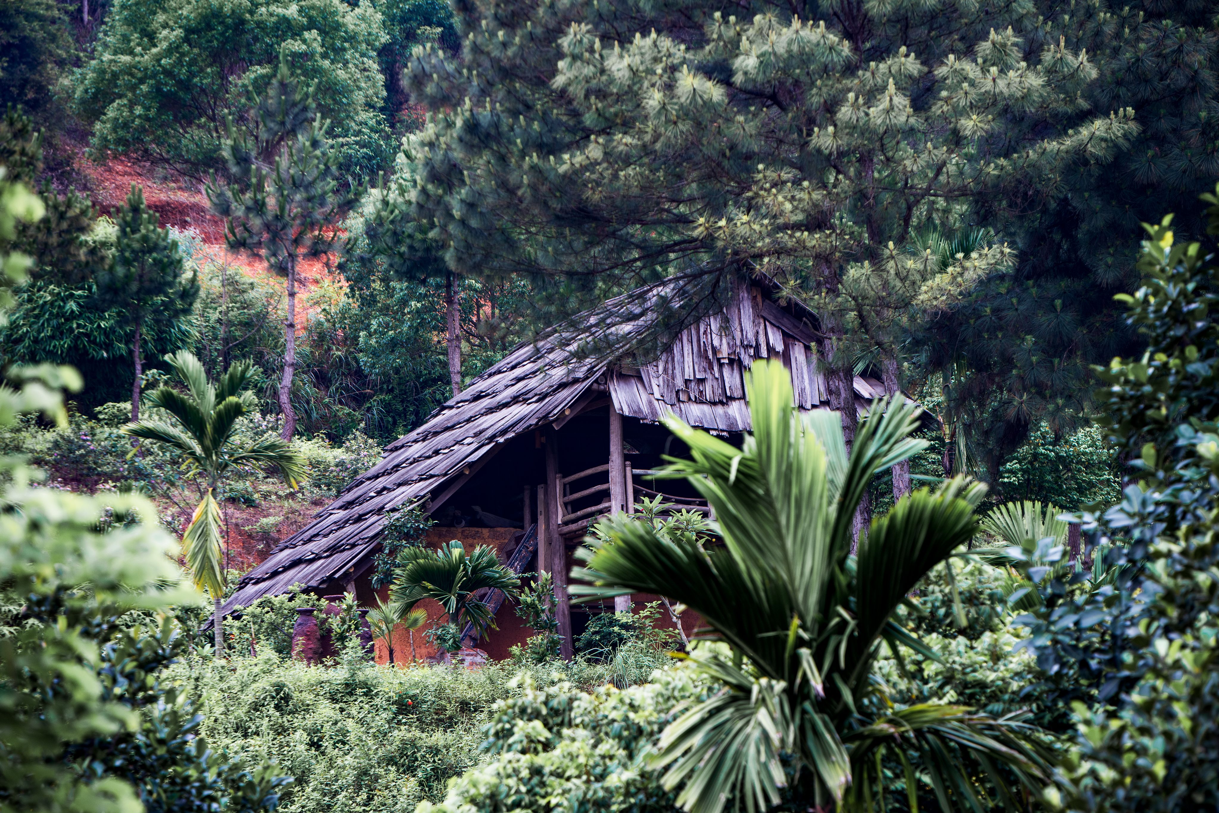 Wooden Barn in a Tropical Forest · Free Stock Photo
