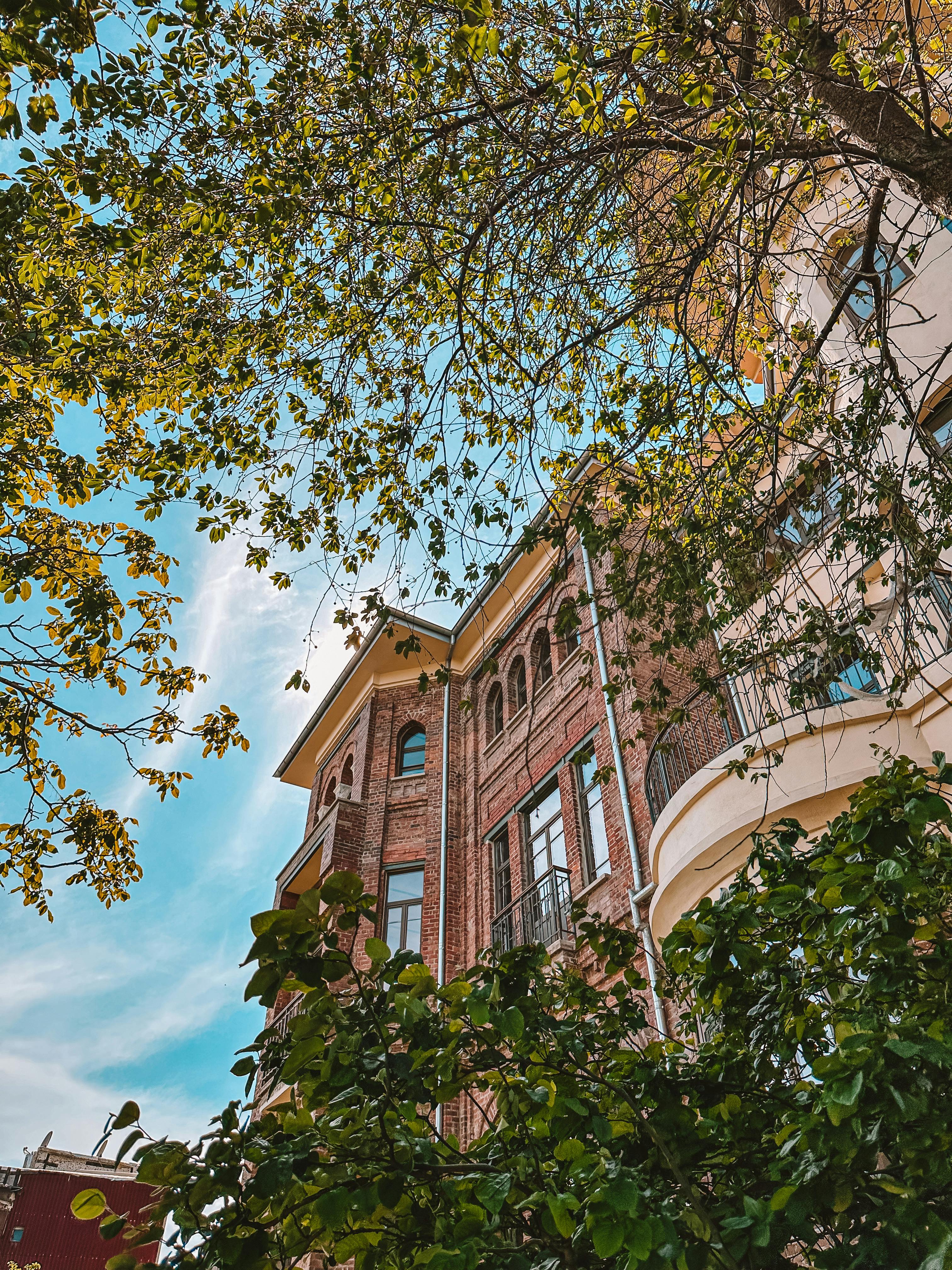 Apartment Building From the Perspective of a Tree · Free Stock Photo