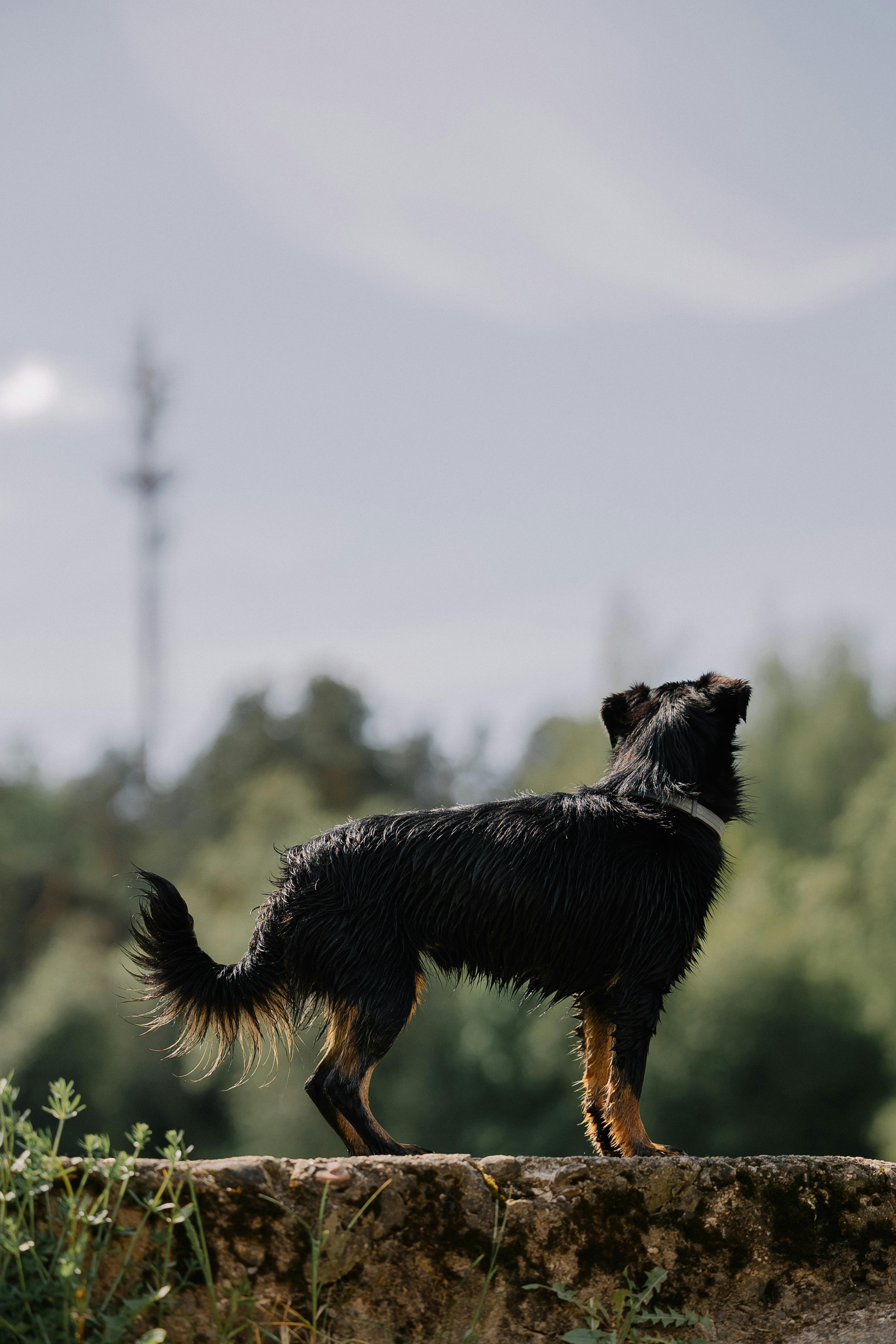 Black Scre Photos, Download The BEST Free Black Scre Stock Photos & HD ...