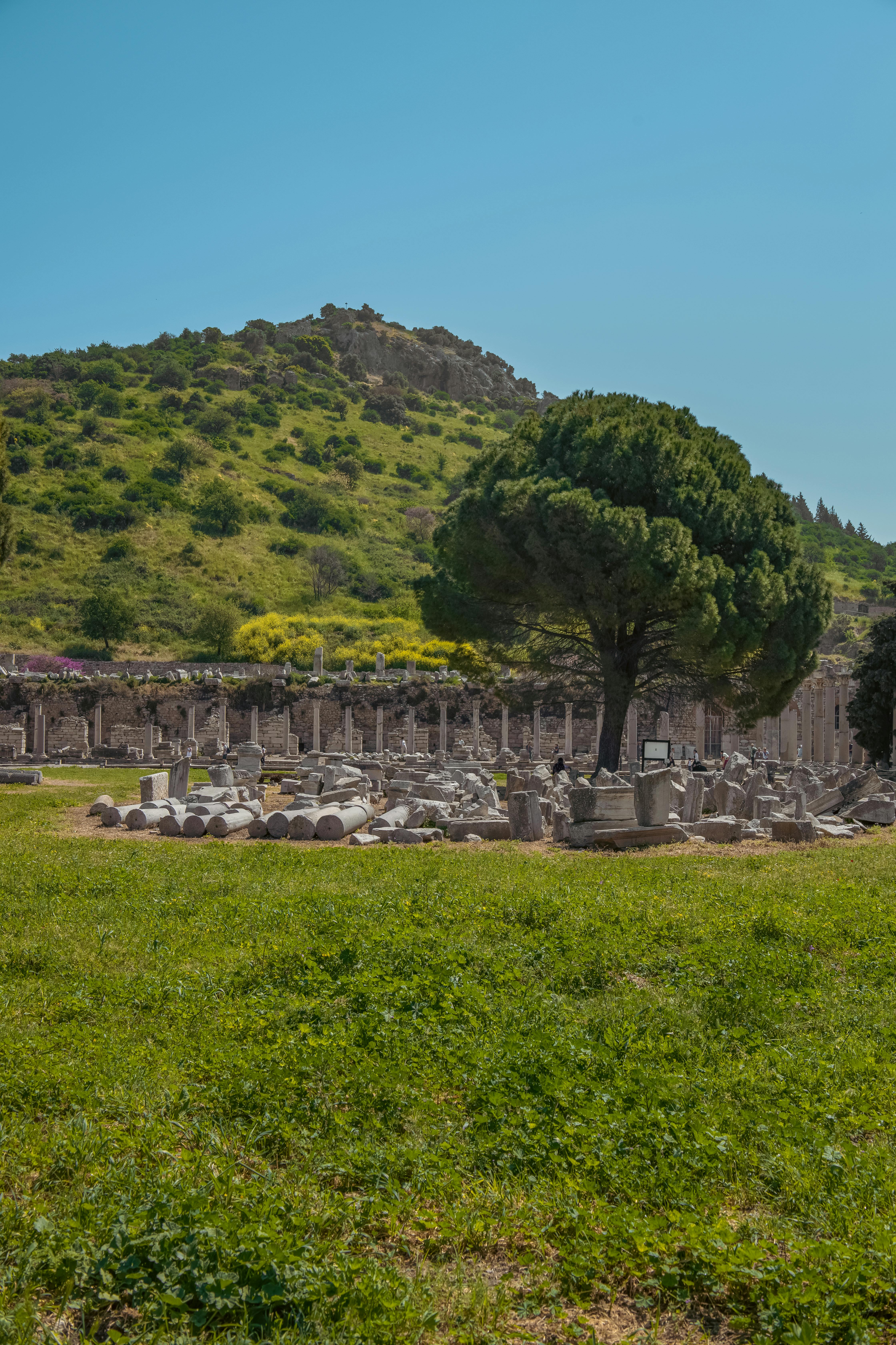 Ephesus Ancient Ruins Free Stock Photo