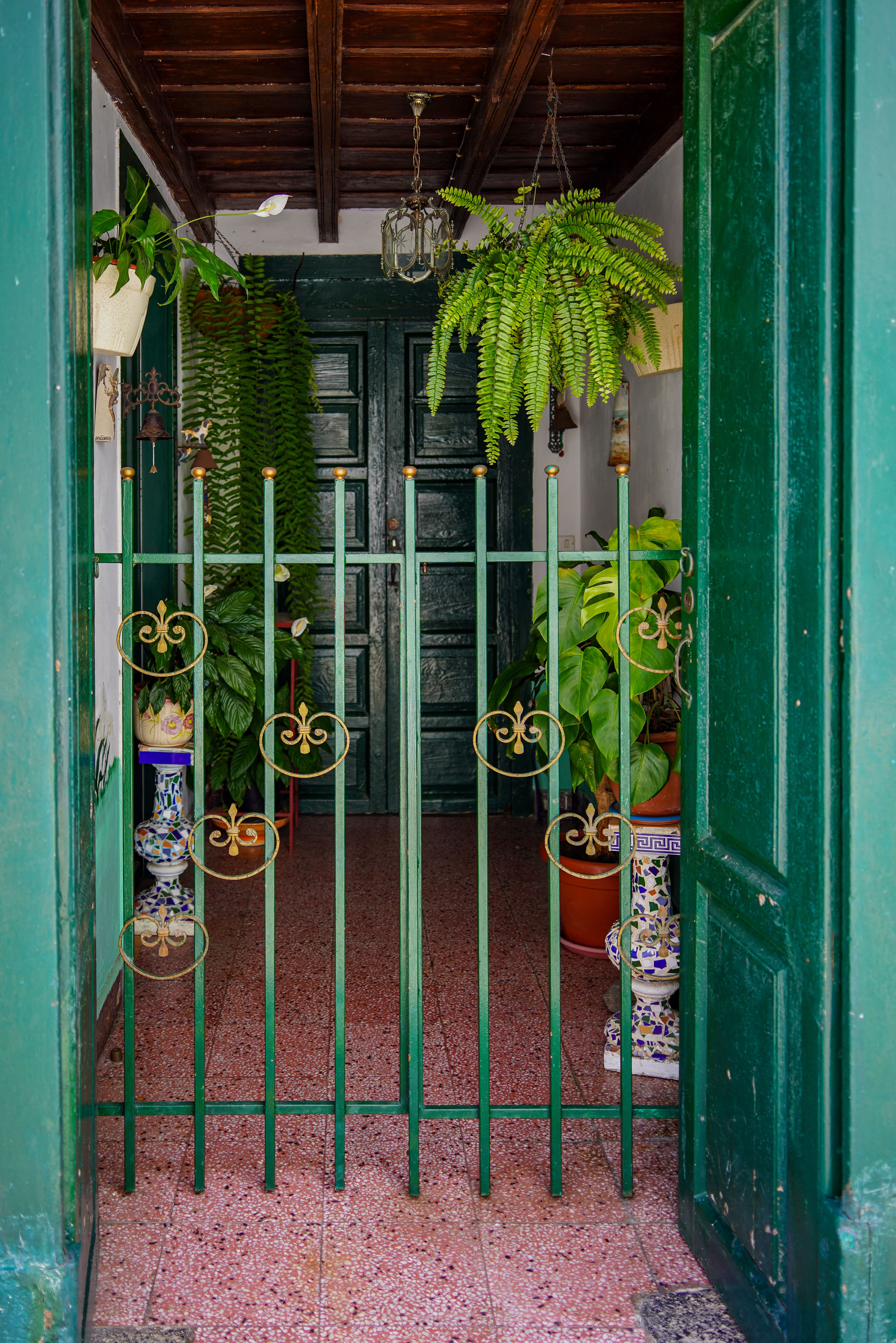 Gate in the Entrance Hall Decorated with Potted Plants · Free Stock Photo