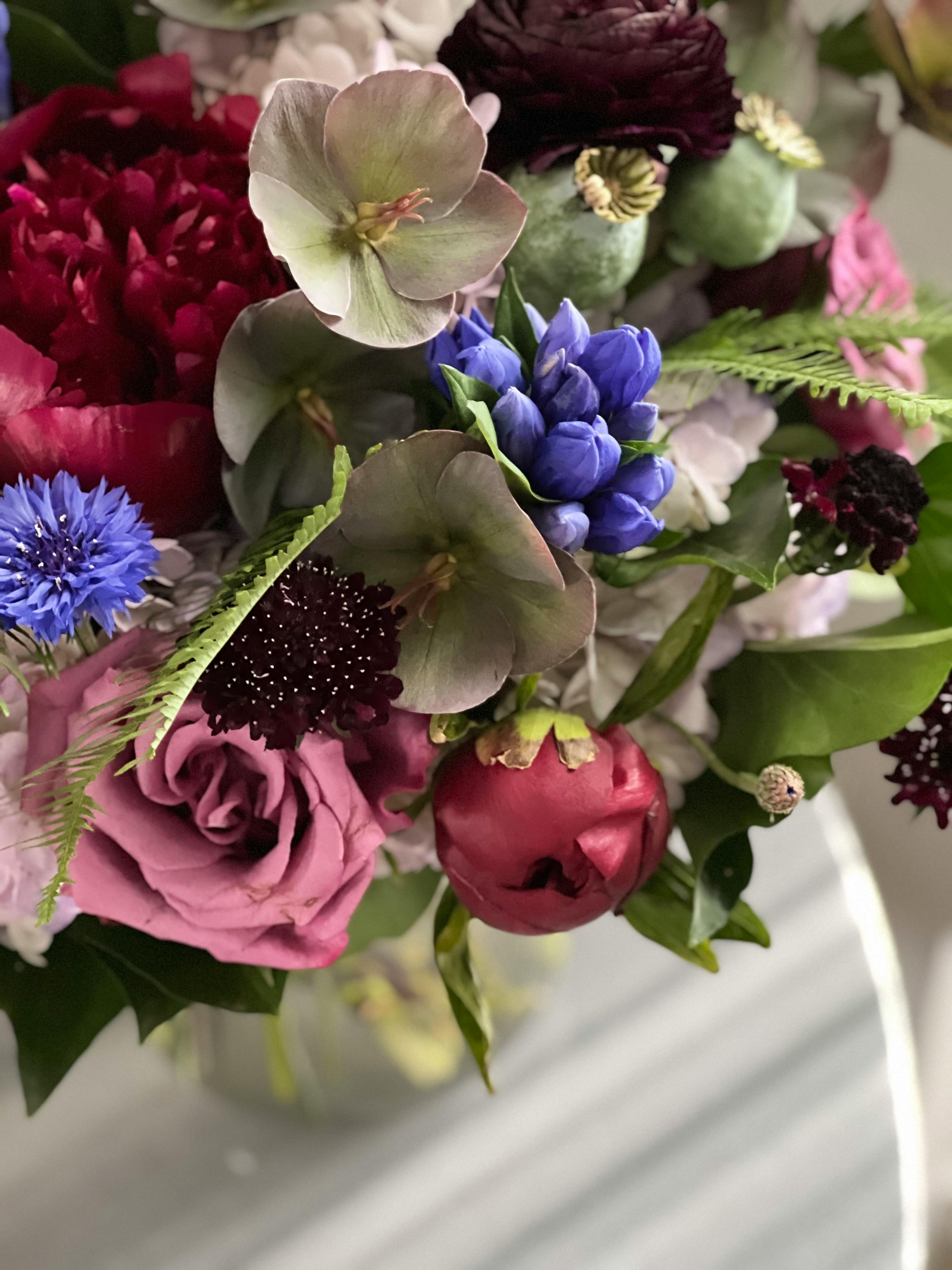 Summer Nature Photos, Download The BEST Free Summer Nature Stock Photos ...