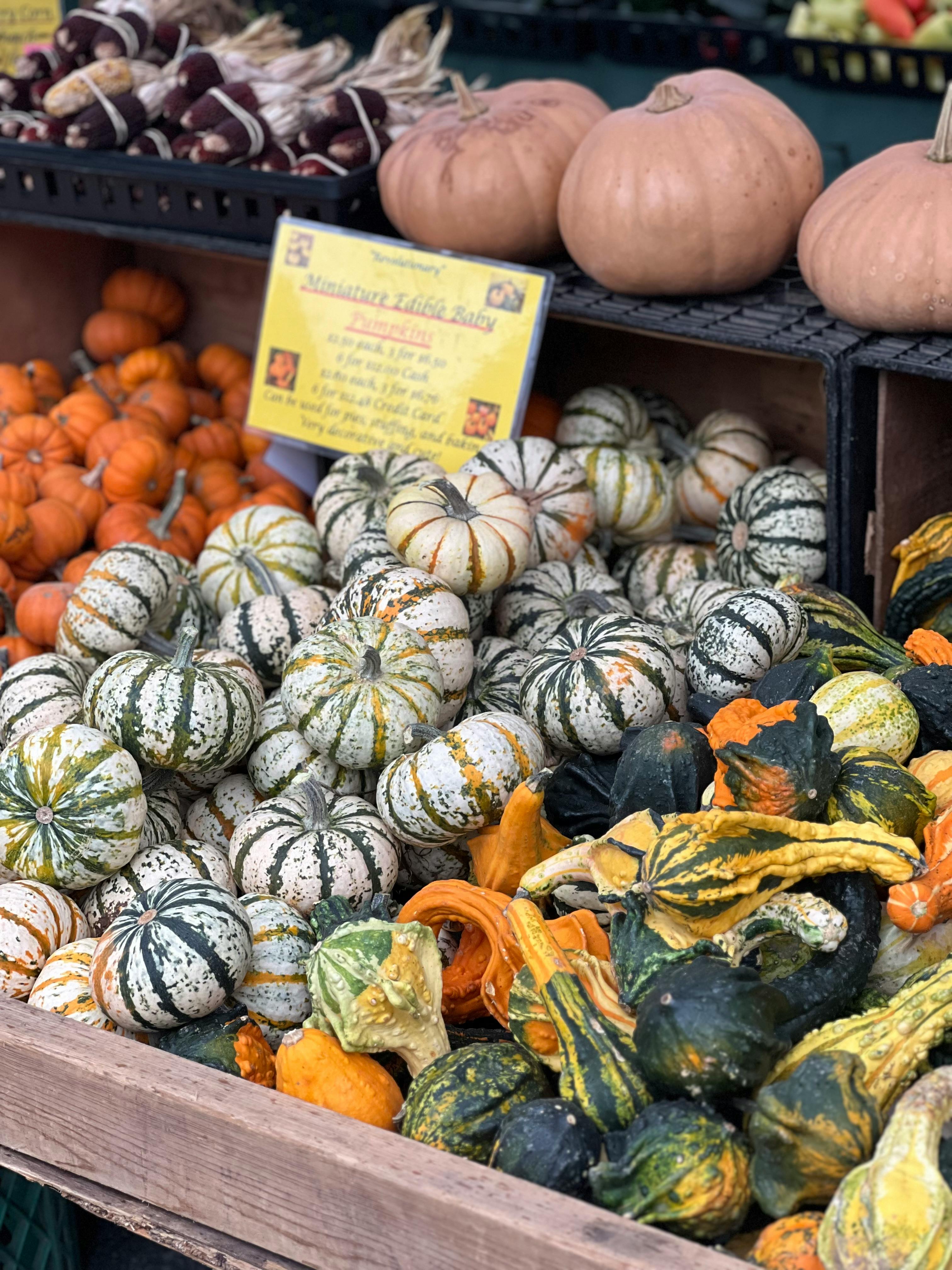 Raw Images Photos, Download The BEST Free Raw Images Stock Photos & HD ...